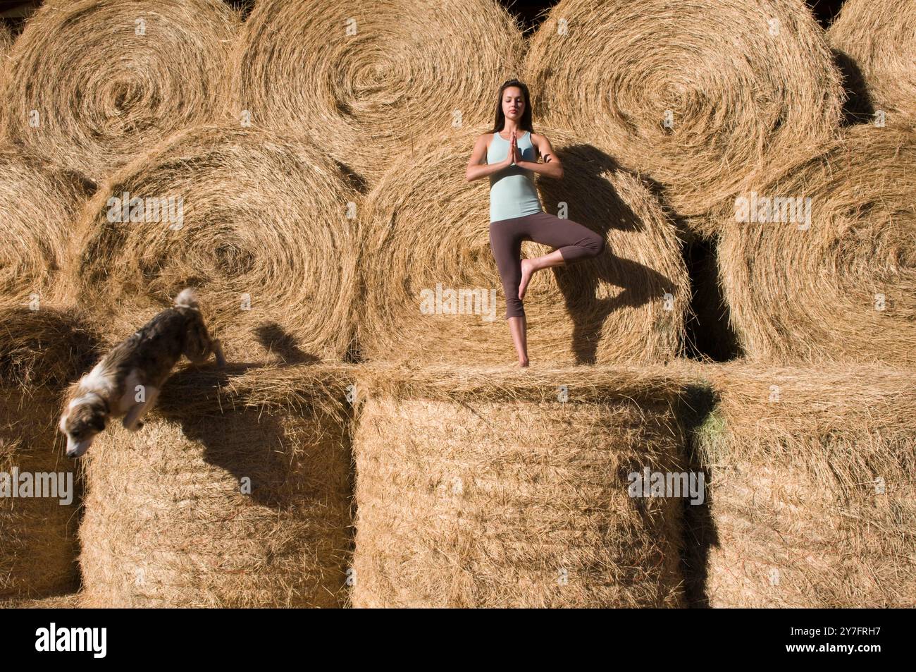 Domestic practices hi-res stock photography and images - Alamy