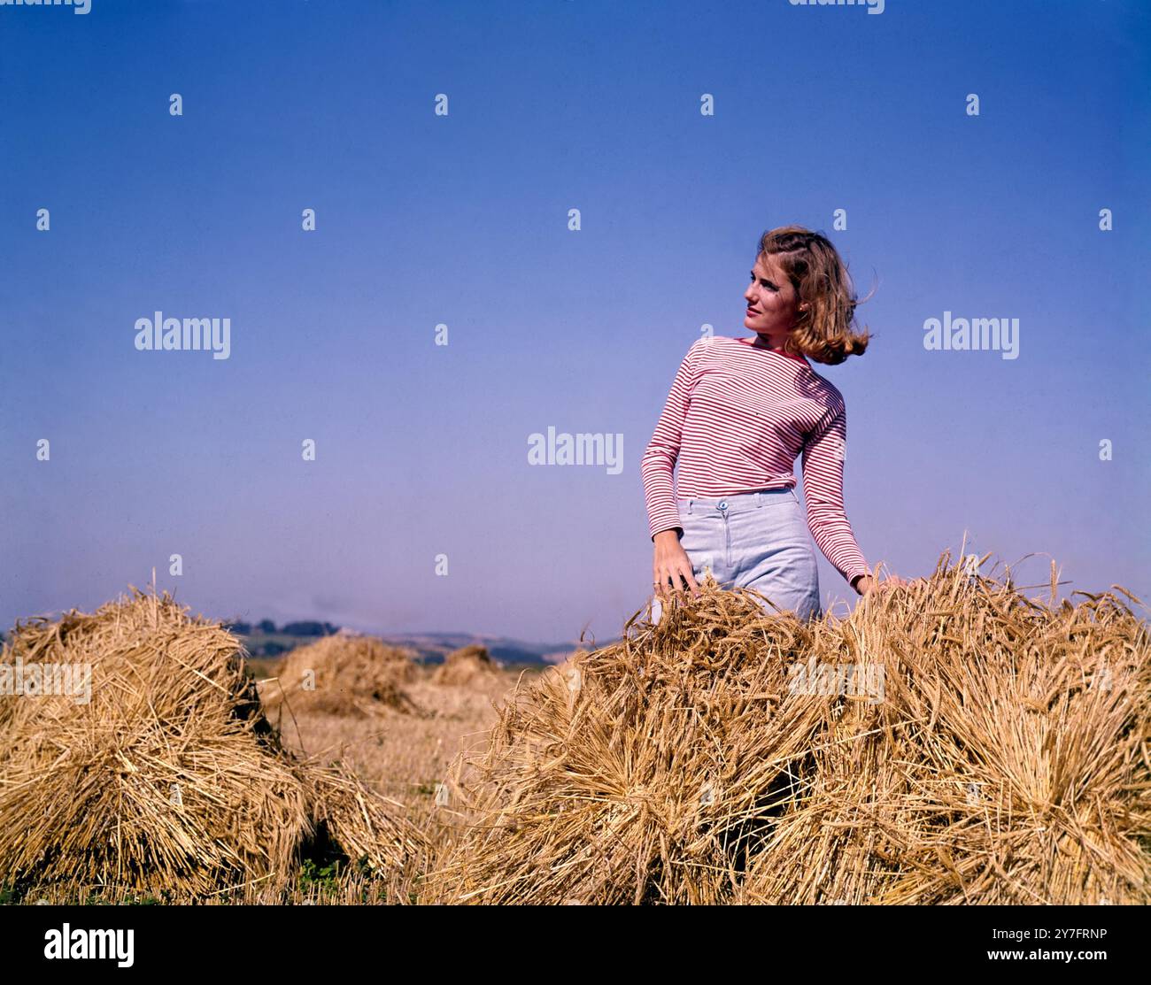 Fashion Girl posing in field of corn stacks 1950's Stock Photo - Alamy