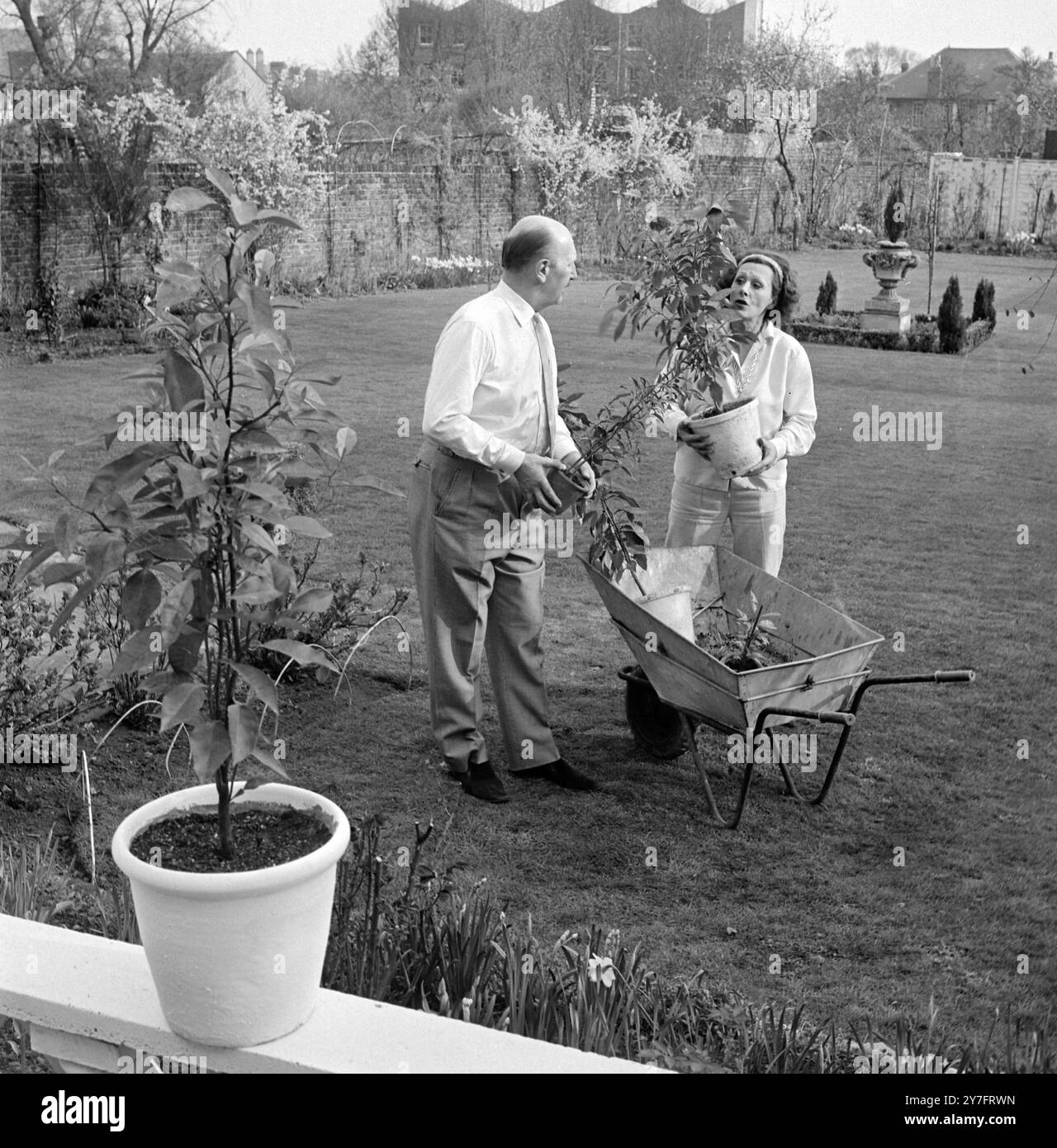 Fanny Cradock in her garden, photographed by George Douglas Stock Photo ...
