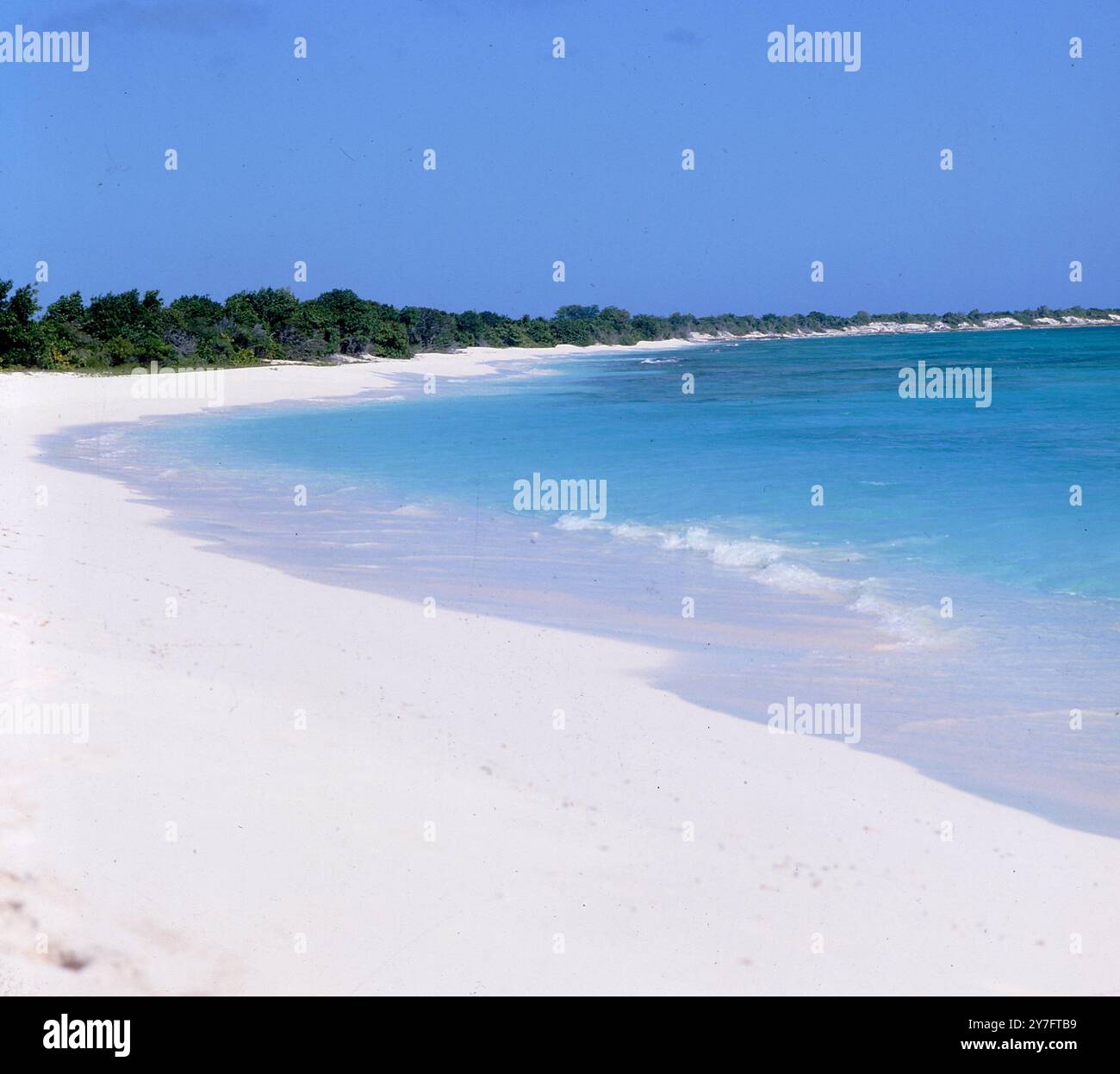 West Indies Leeward Islands Coco Point Stock Photo - Alamy