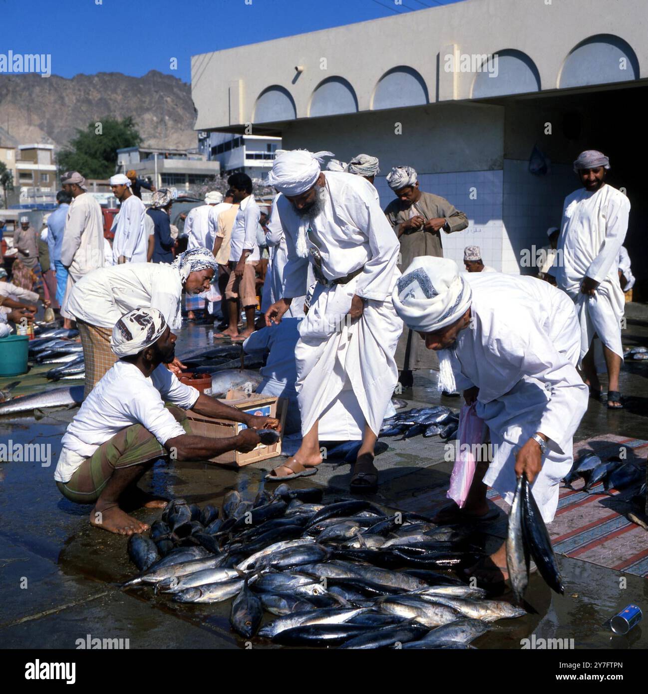 Oman, Mutrah, fish market Stock Photo - Alamy