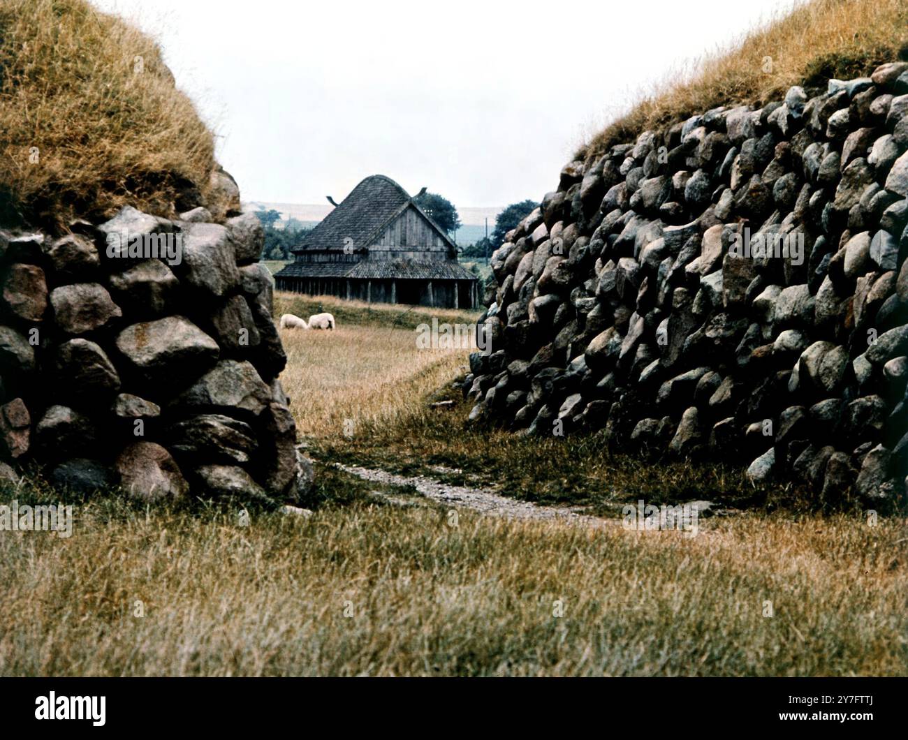 Reconstruction of Viking Village in Denmark Stock Photo - Alamy