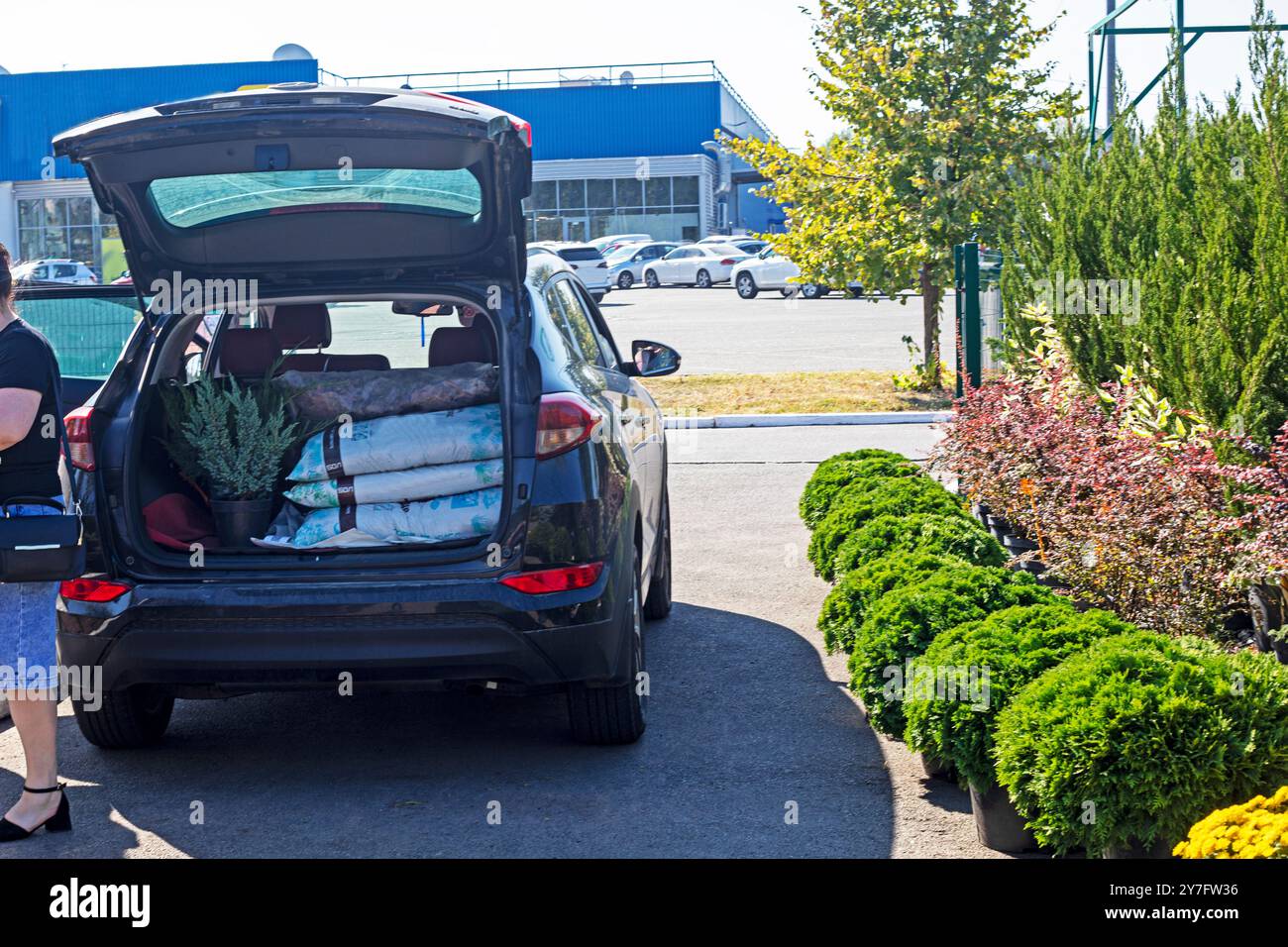 loading soil and ornamental plants for planting on the front garden ...