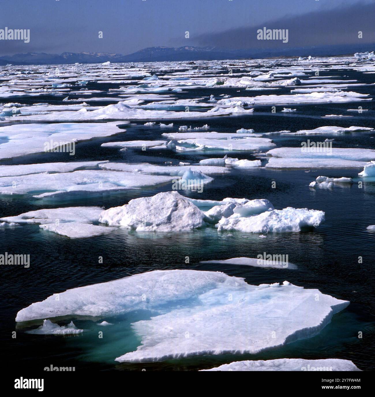 Iceflows Labrador Sea Greenland Stock Photo - Alamy