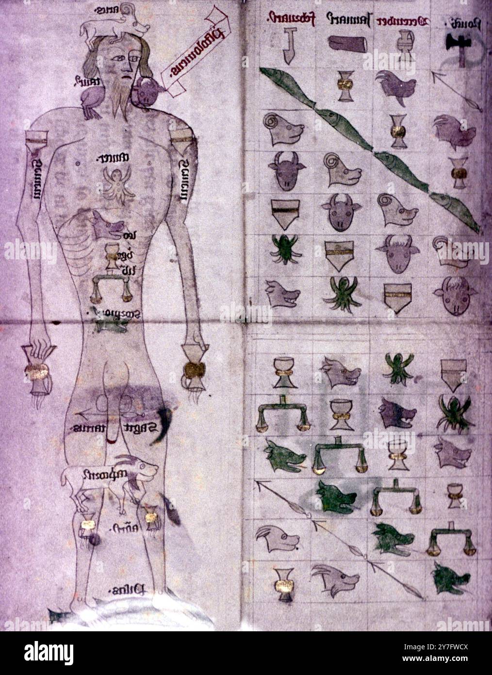 Astrological man and chart for computing the influence of the planets ...