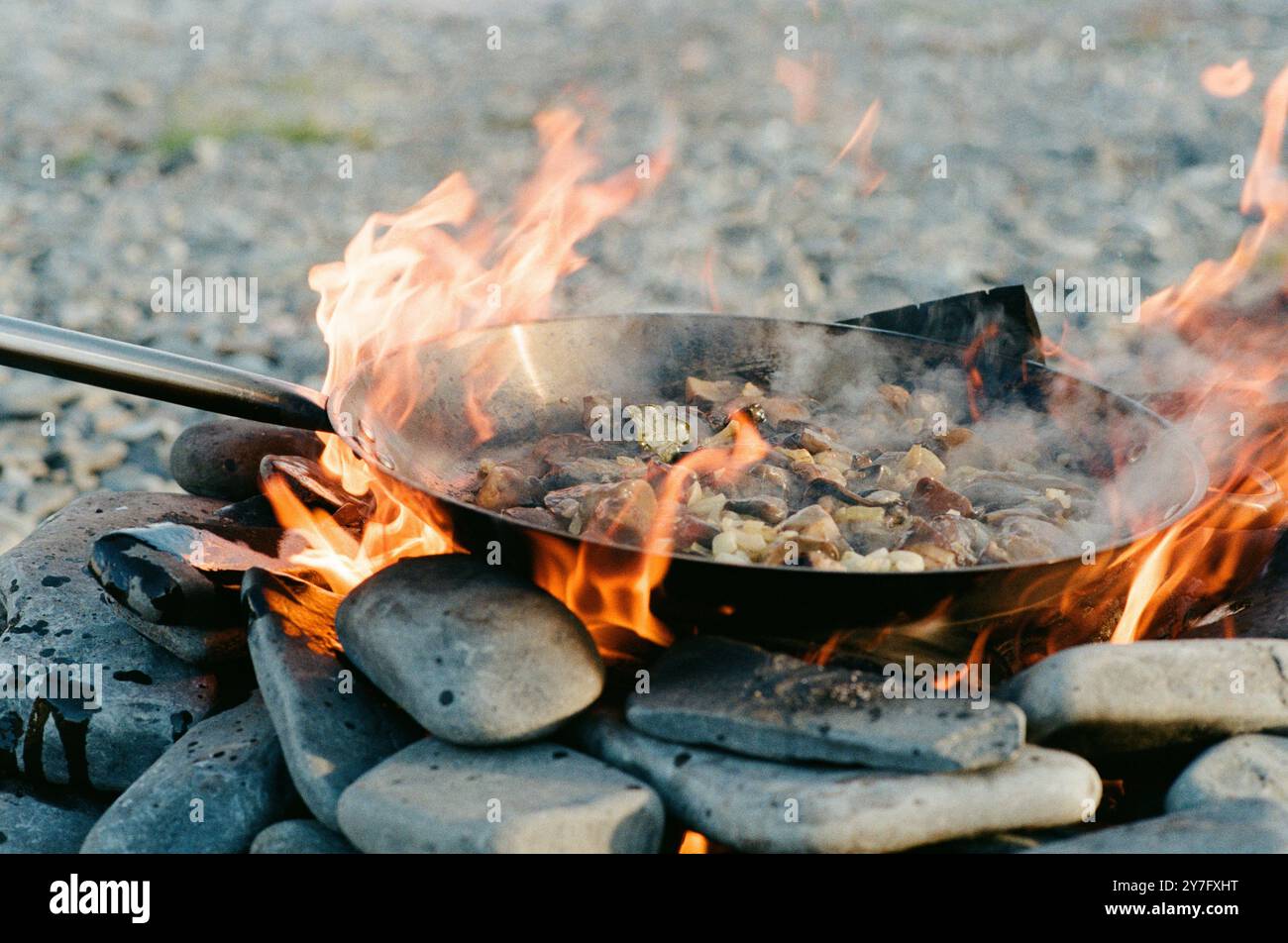 Cooking Over Fire: Wilderness Feast Stock Photo - Alamy