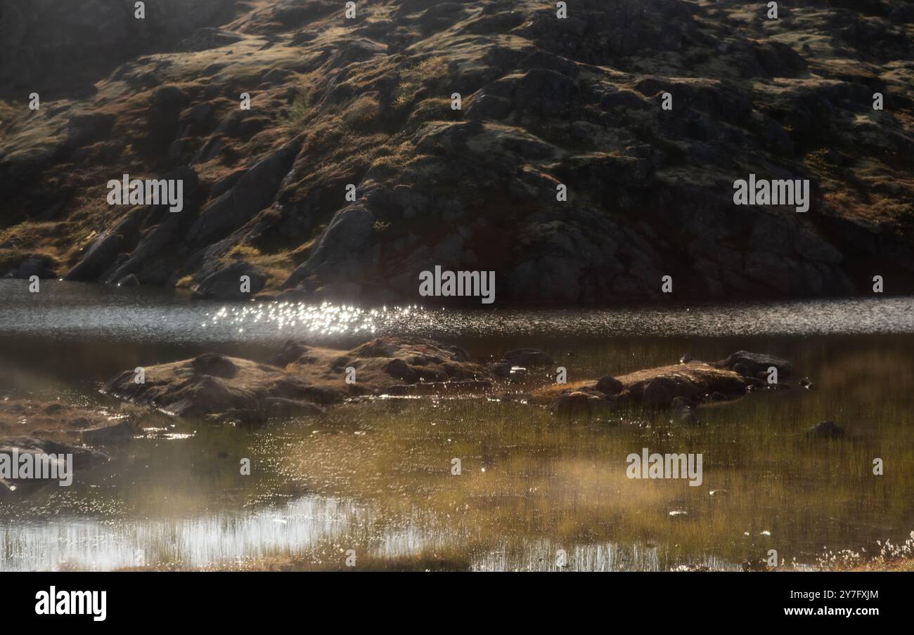 Endless Cold: Stones of the Far North Stock Photo - Alamy