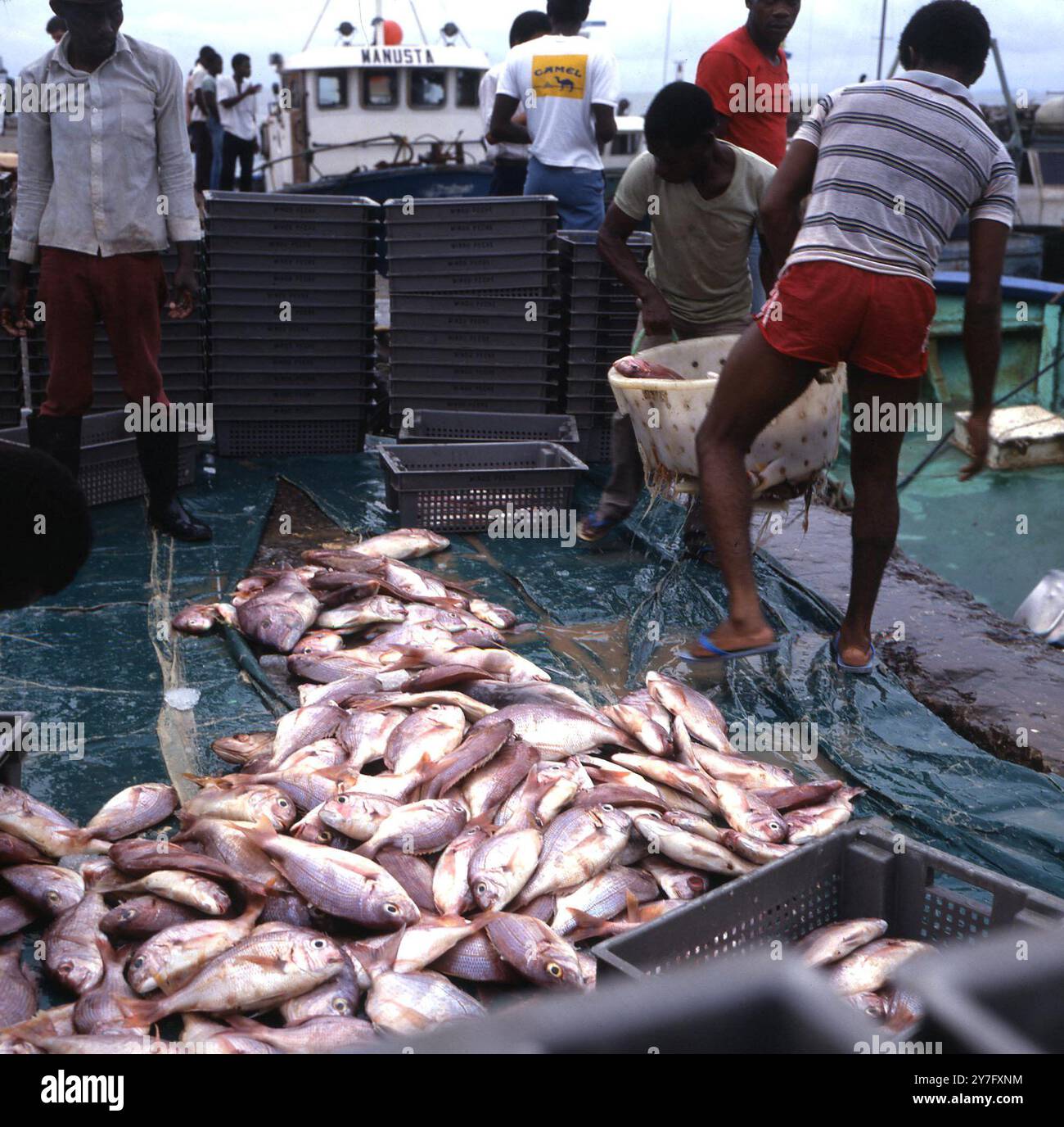 Unloading fish in the port, Libreville, Gabon Stock Photo - Alamy
