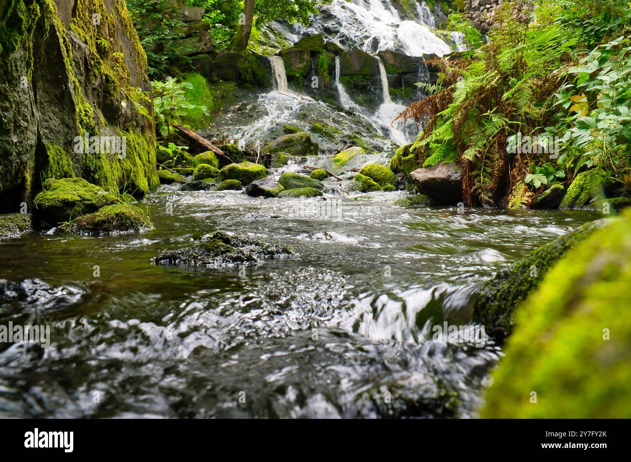 Small waterfall flows into a stream in Sweden. Moss-covered stones ...