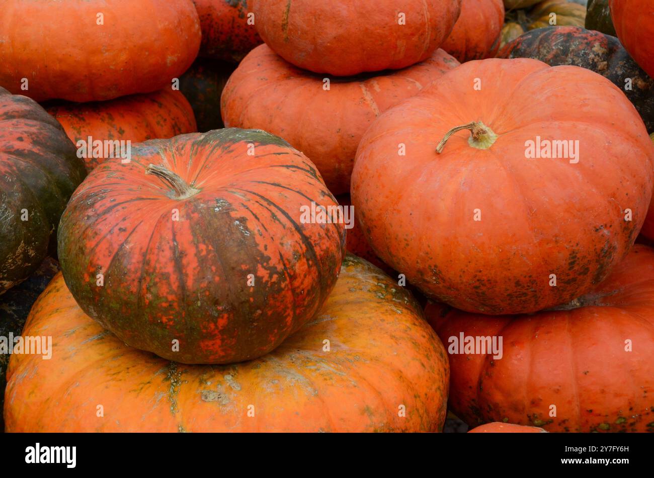 Tennessee stack hi-res stock photography and images - Alamy