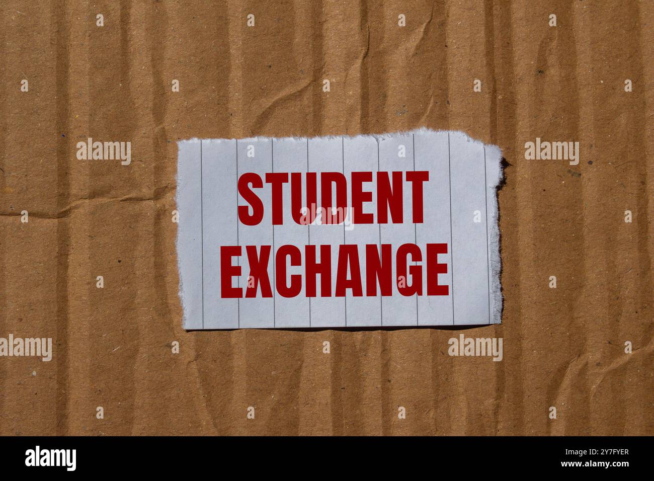 Student exchange message written on ripped torn paper with cardboard background. Conceptual ...