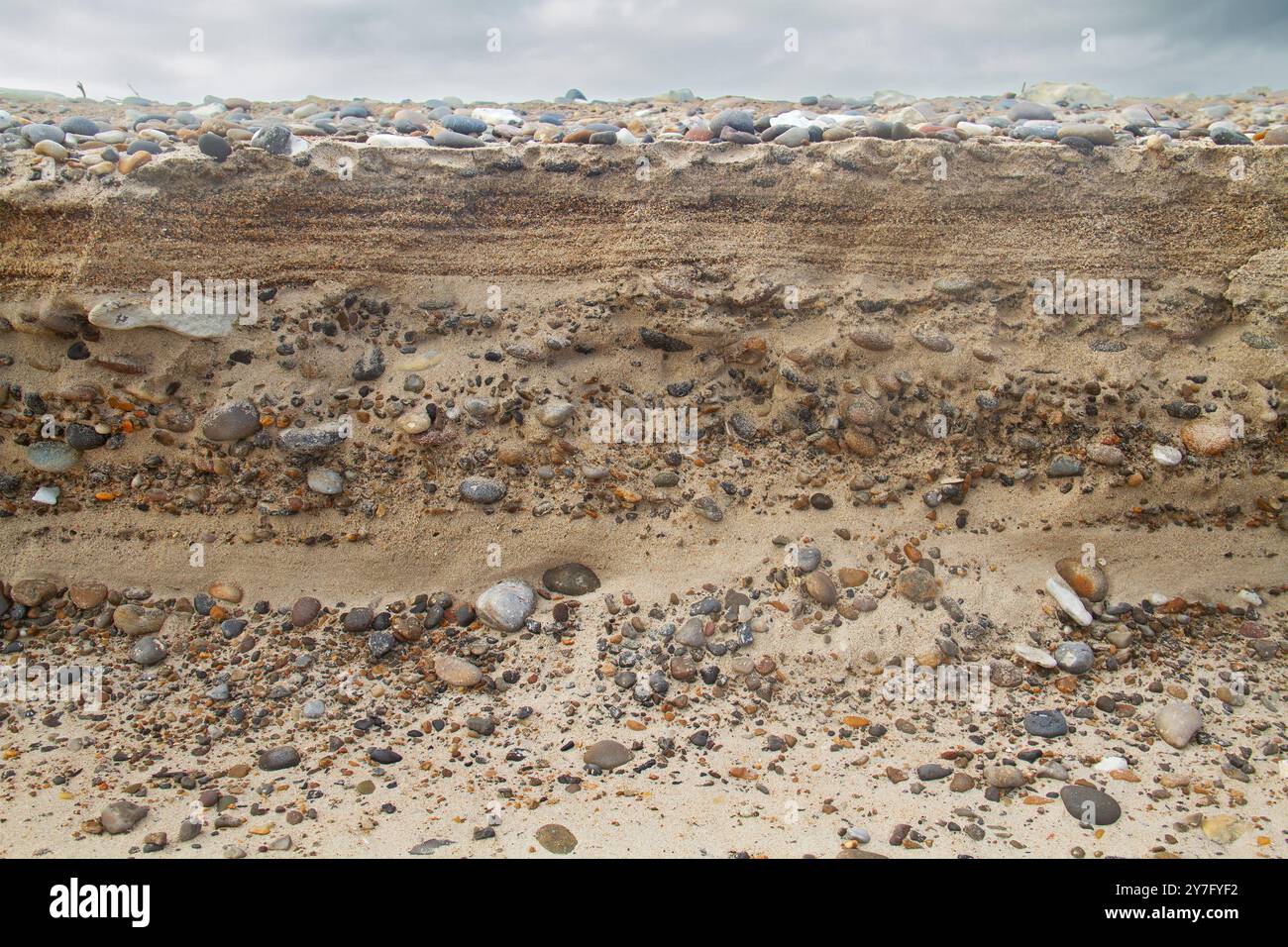 Alternation of layers of coarse sand and gravel in a sediment on the coast Stock Photo - Alamy