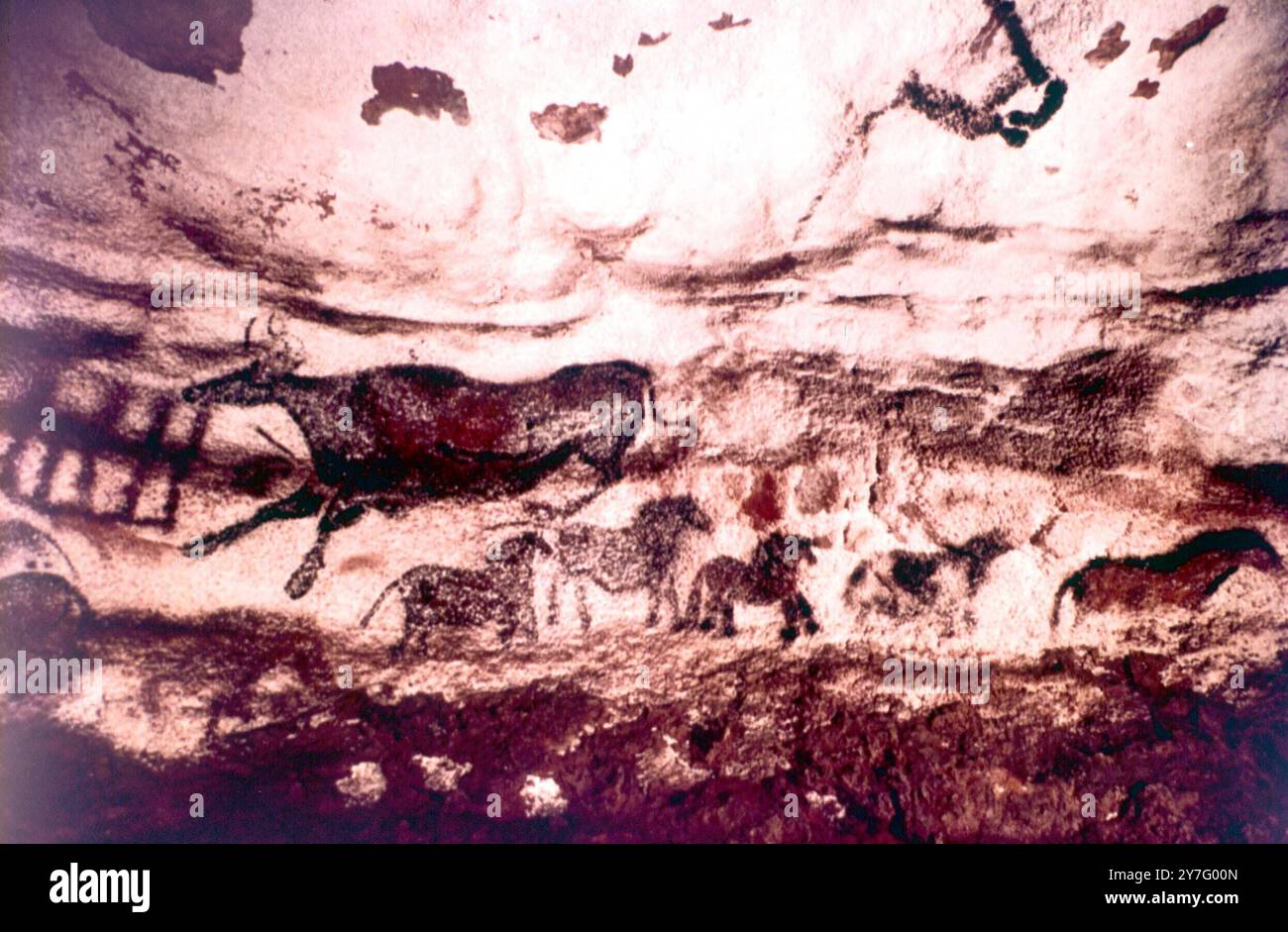 France, Dordogne - Lascaux Caves - Cave Paintings Stock Photo - Alamy