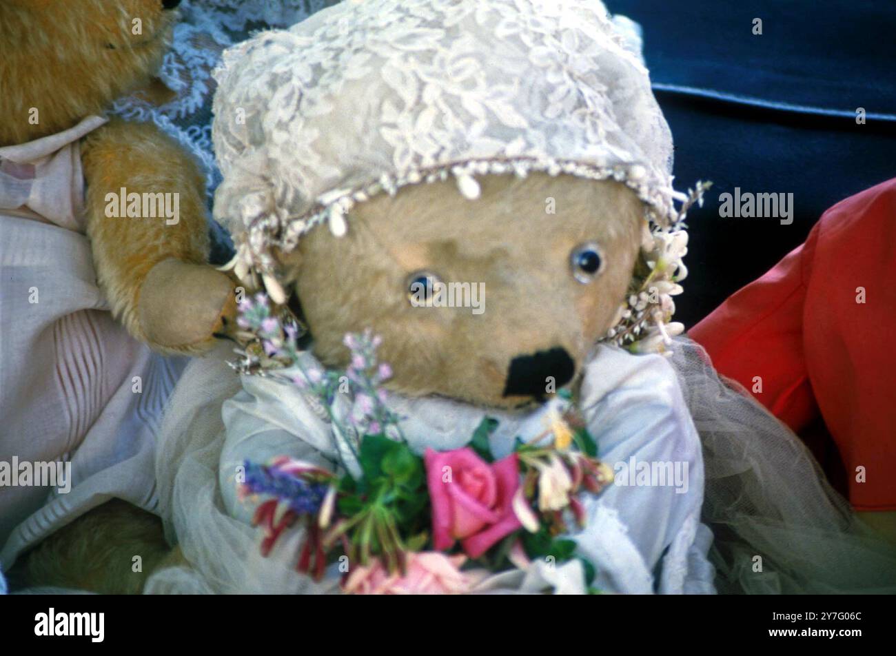 Victorian Teddy Bear Stock Photo - Alamy