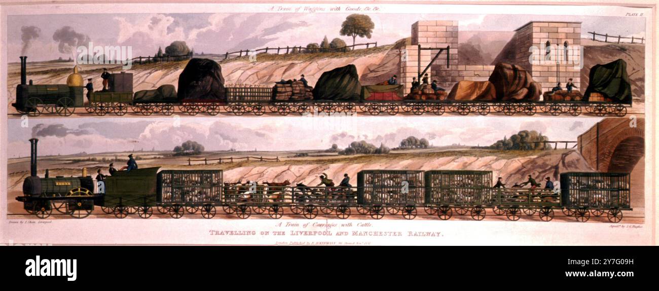 A train of carriages and cattle travelling on the Liverpool and ...