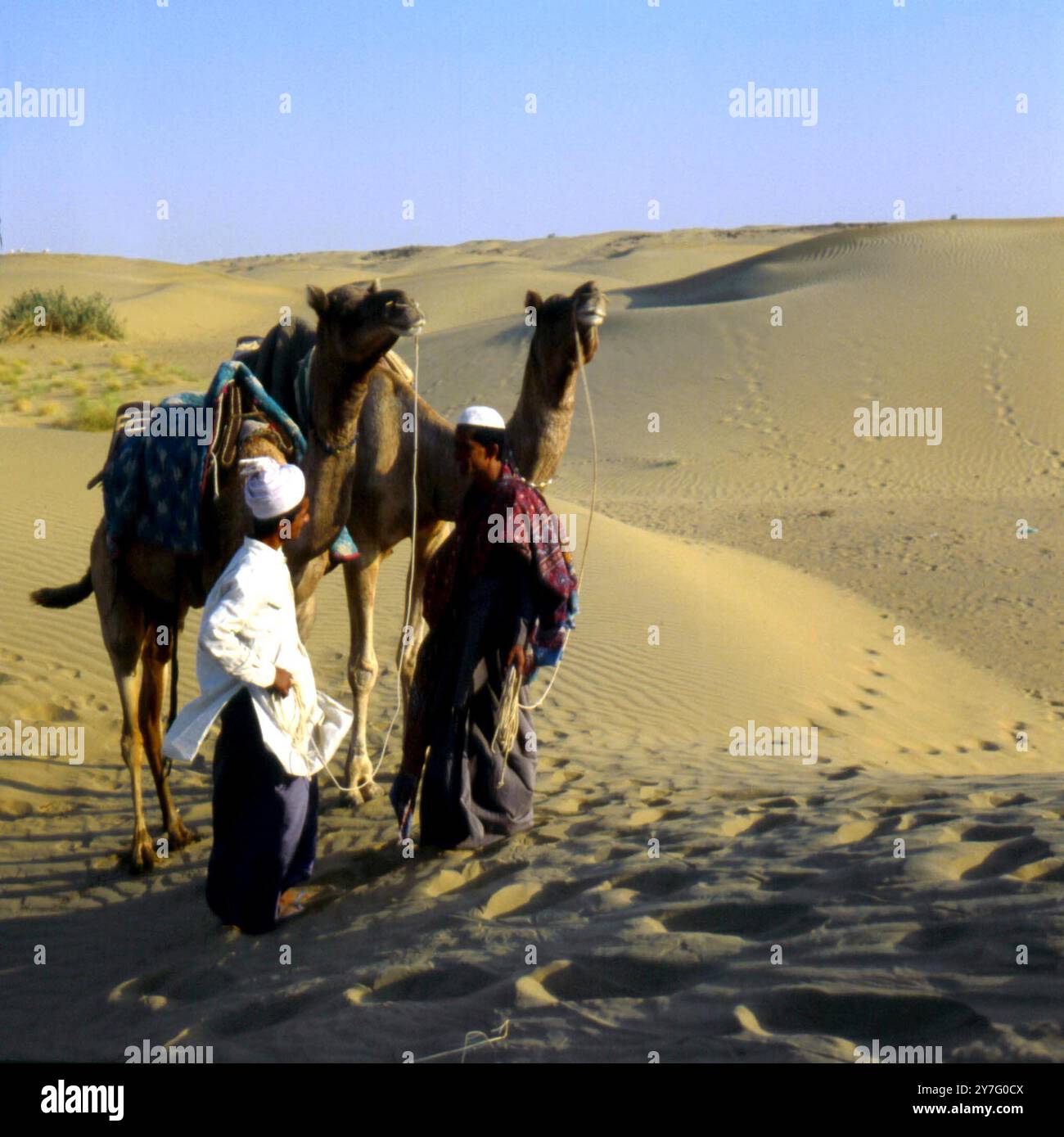 India - Rajasthan - Sam - (Jaisalmer) - Camel Riders in the Thar Desert ...