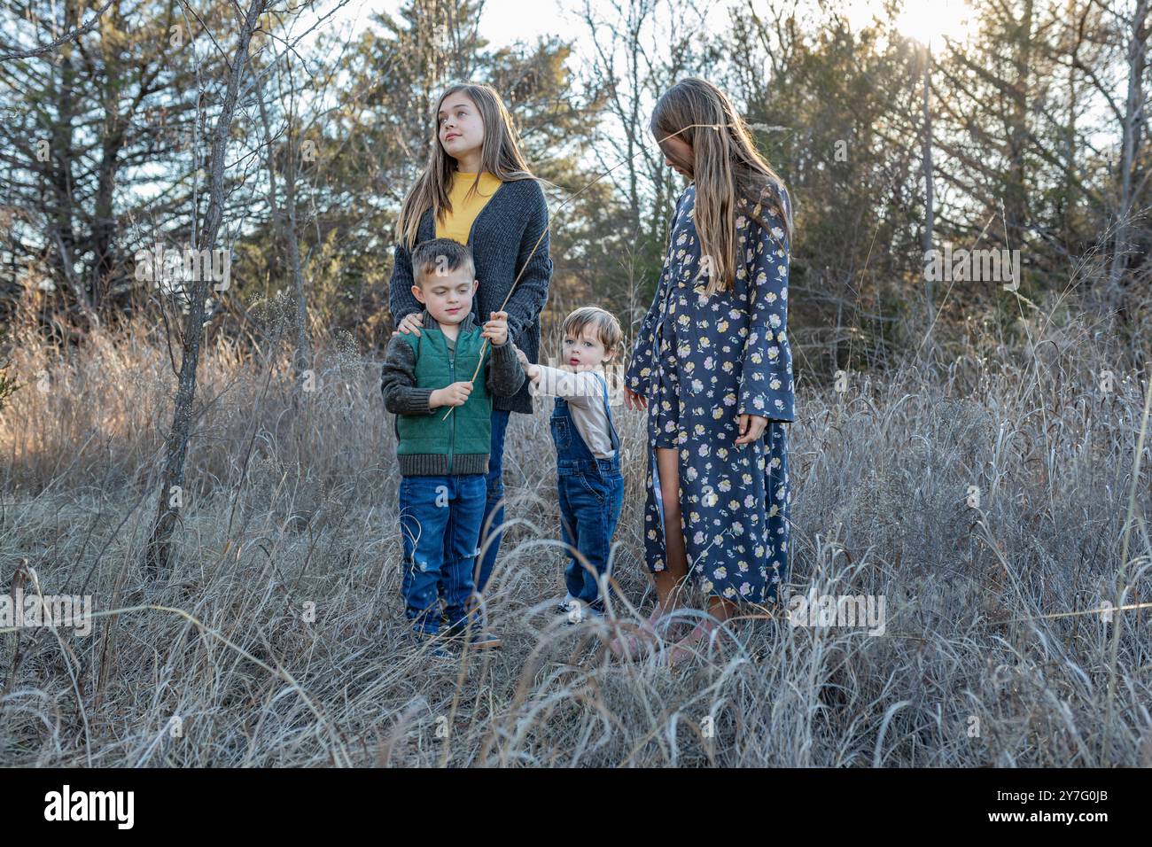 four siblings standing in golden field together in fall Stock Photo - Alamy