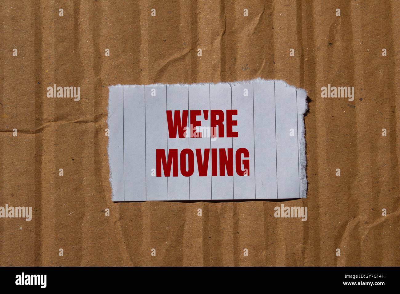 We are moving message written on ripped torn paper with cardboard ...