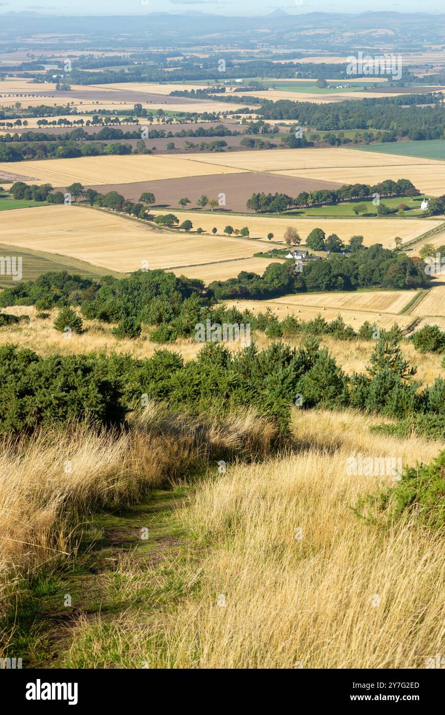 Angus rural landscape from Kinpurney Hill, Angus, Scotland Stock Photo ...