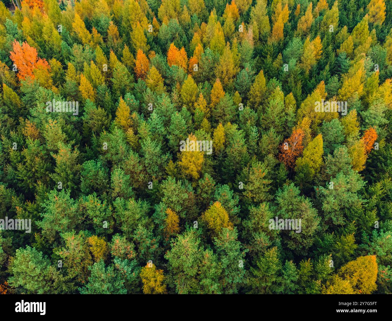 Drone captures serene autumn landscape hi-res stock photography and ...