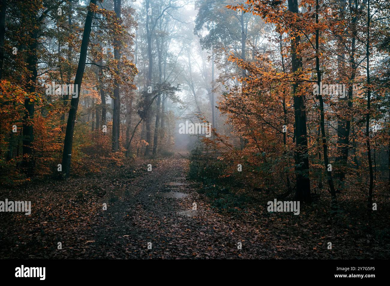 Stylized pathway hi-res stock photography and images - Alamy