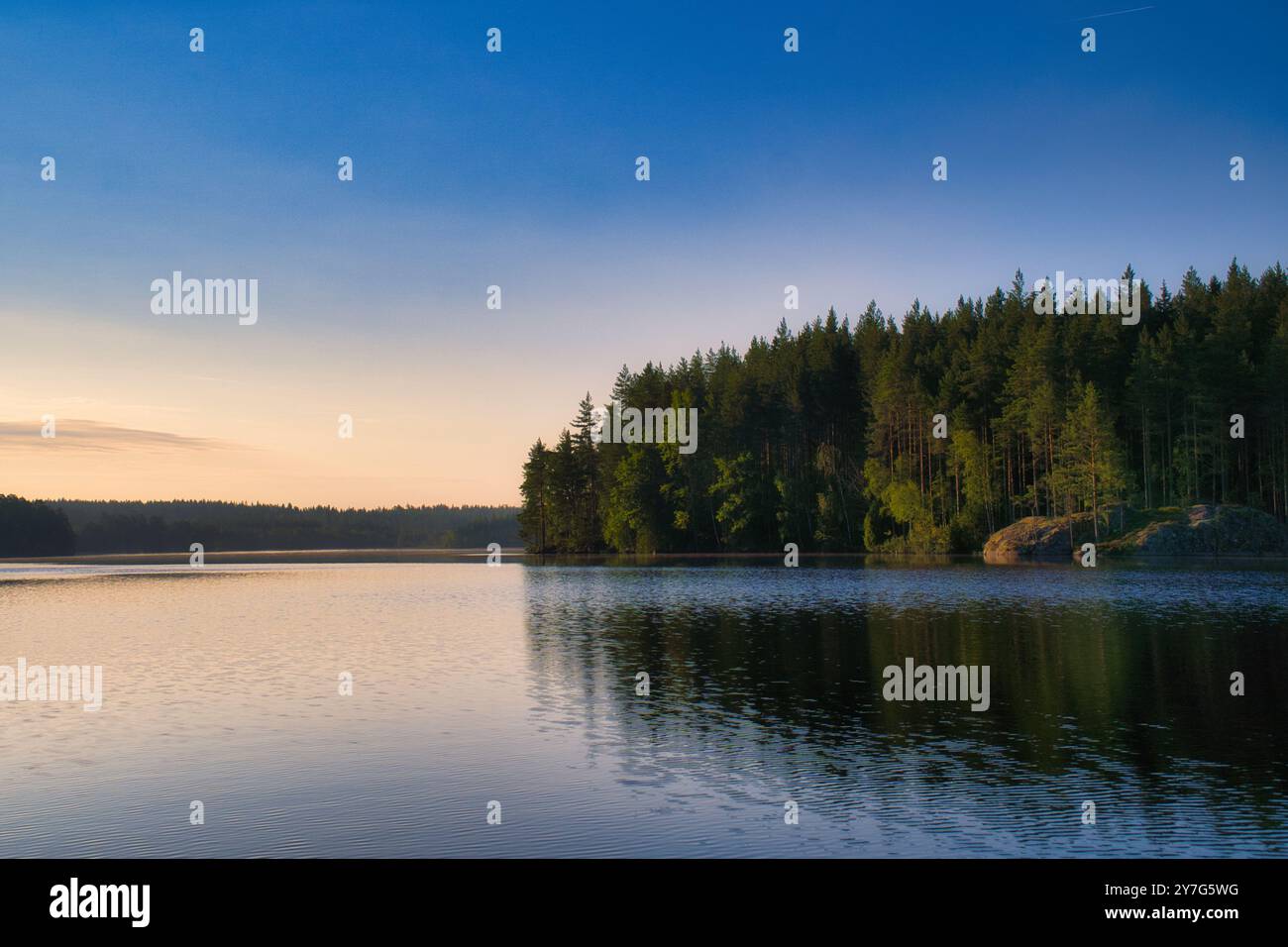 Lake in Sweden at sunrise with romantic light, blue water and trees on ...
