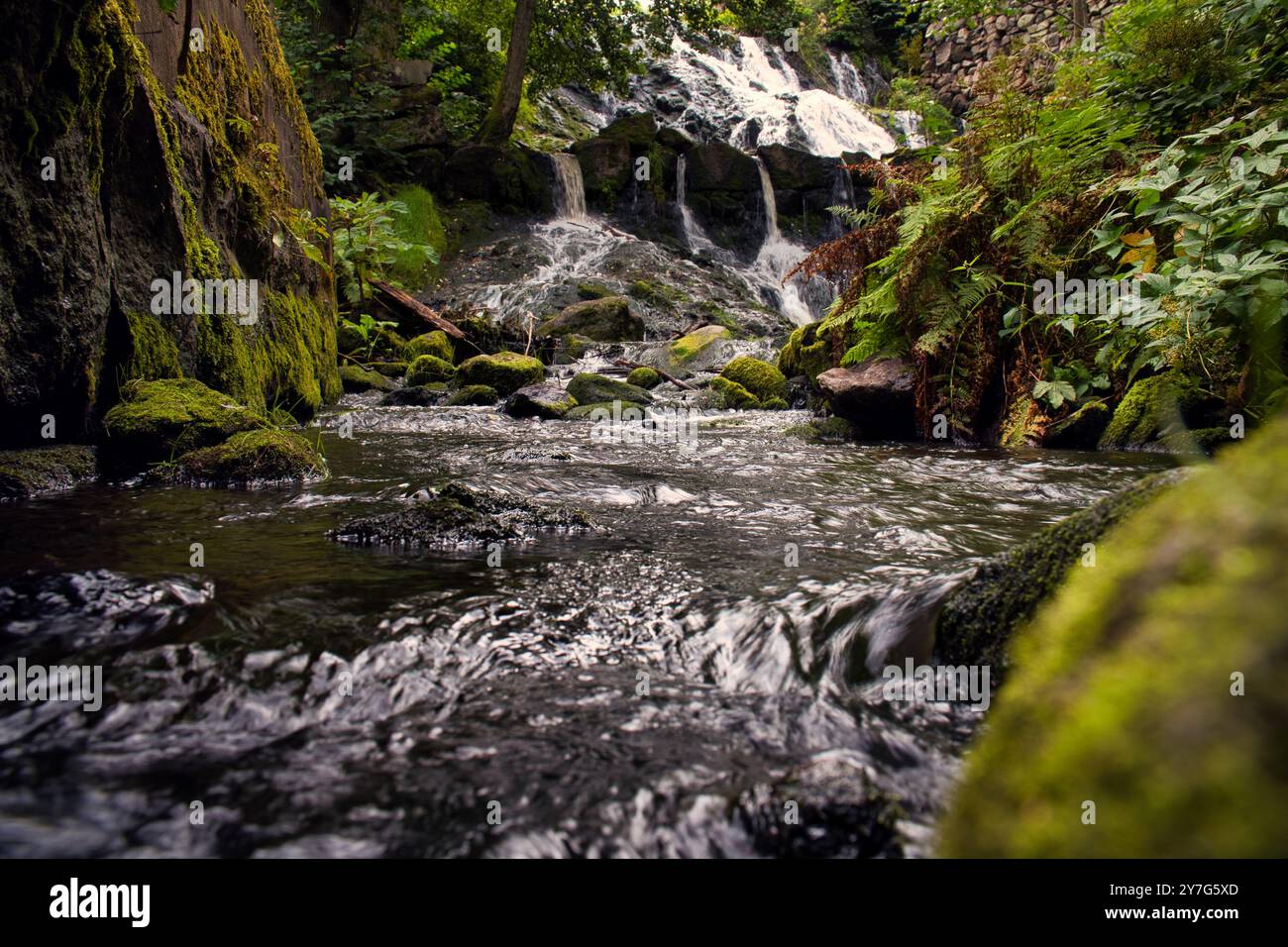 Small waterfall flows into a stream in Sweden. Moss-covered stones ...