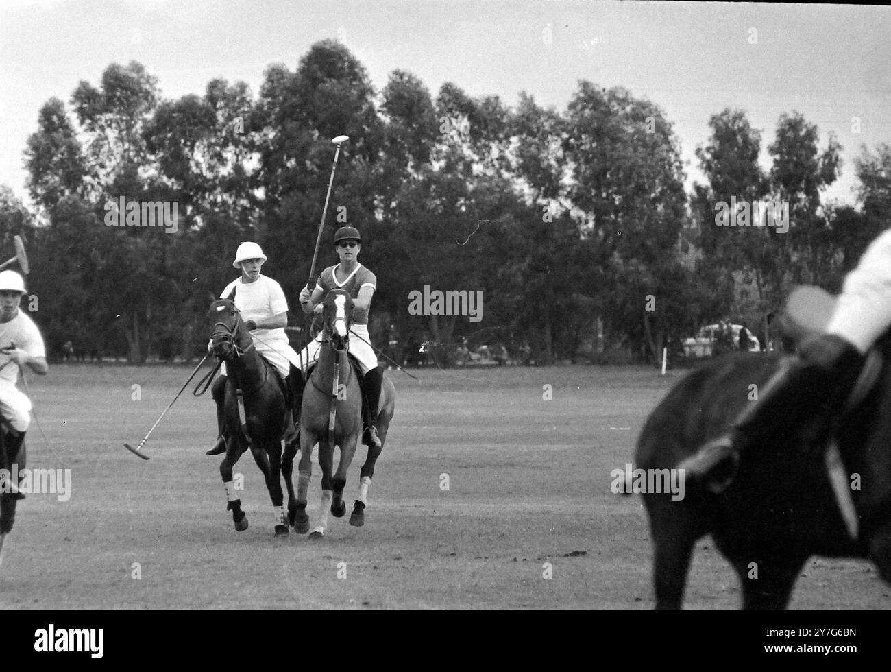 PHILIP PRINCE PLAYING POLO IN RABAT, MOROCCO ; 22 DECEMBER 1964 Stock ...