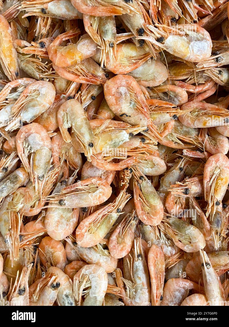 Top view frozen shrimp hi-res stock photography and images - Alamy