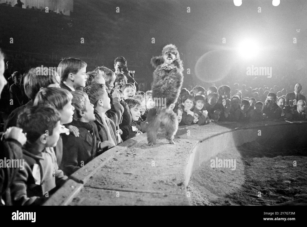 CIRCUS PHYLLIS ALLEN AND POODLES CHILDREN ENTHRALLED ; 17 DECEMBER 1964 ...