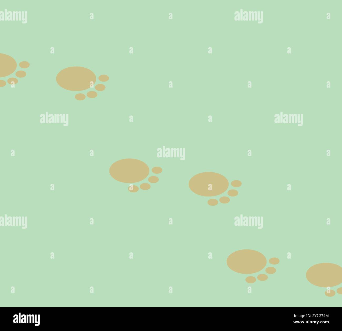 cat animal tracks with four toes Stock Photo - Alamy