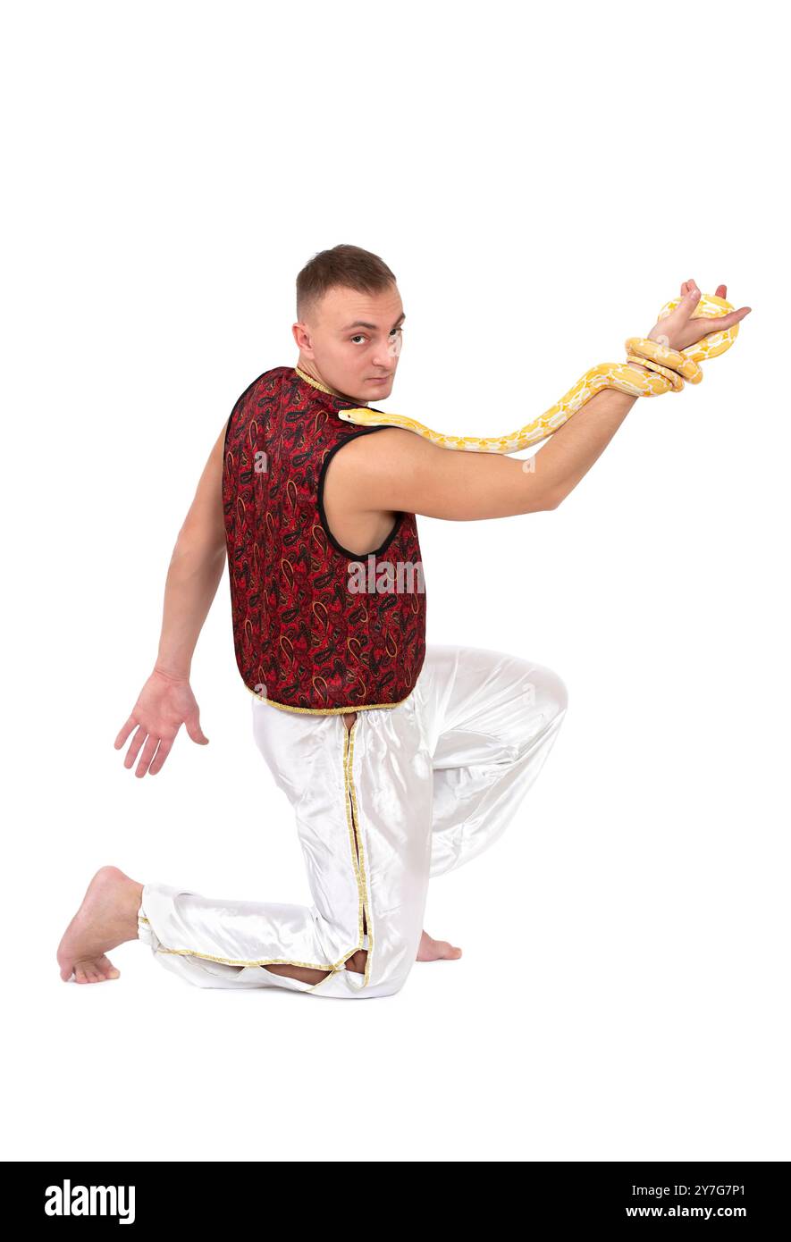 Young Caucasian man with Tiger Albino python Stock Photo - Alamy