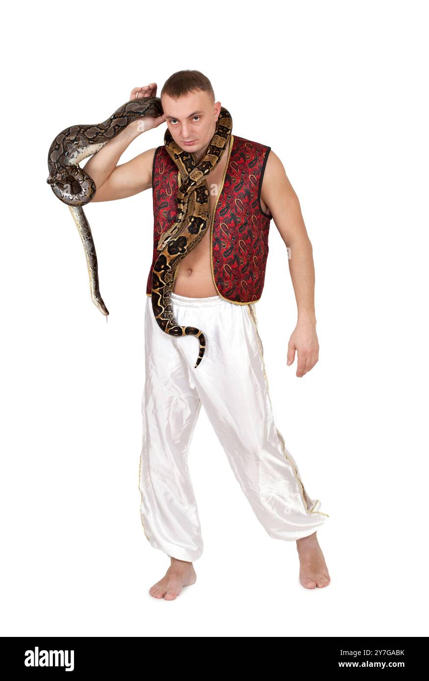 Snakes wriggle Cut Out Stock Images & Pictures - Alamy