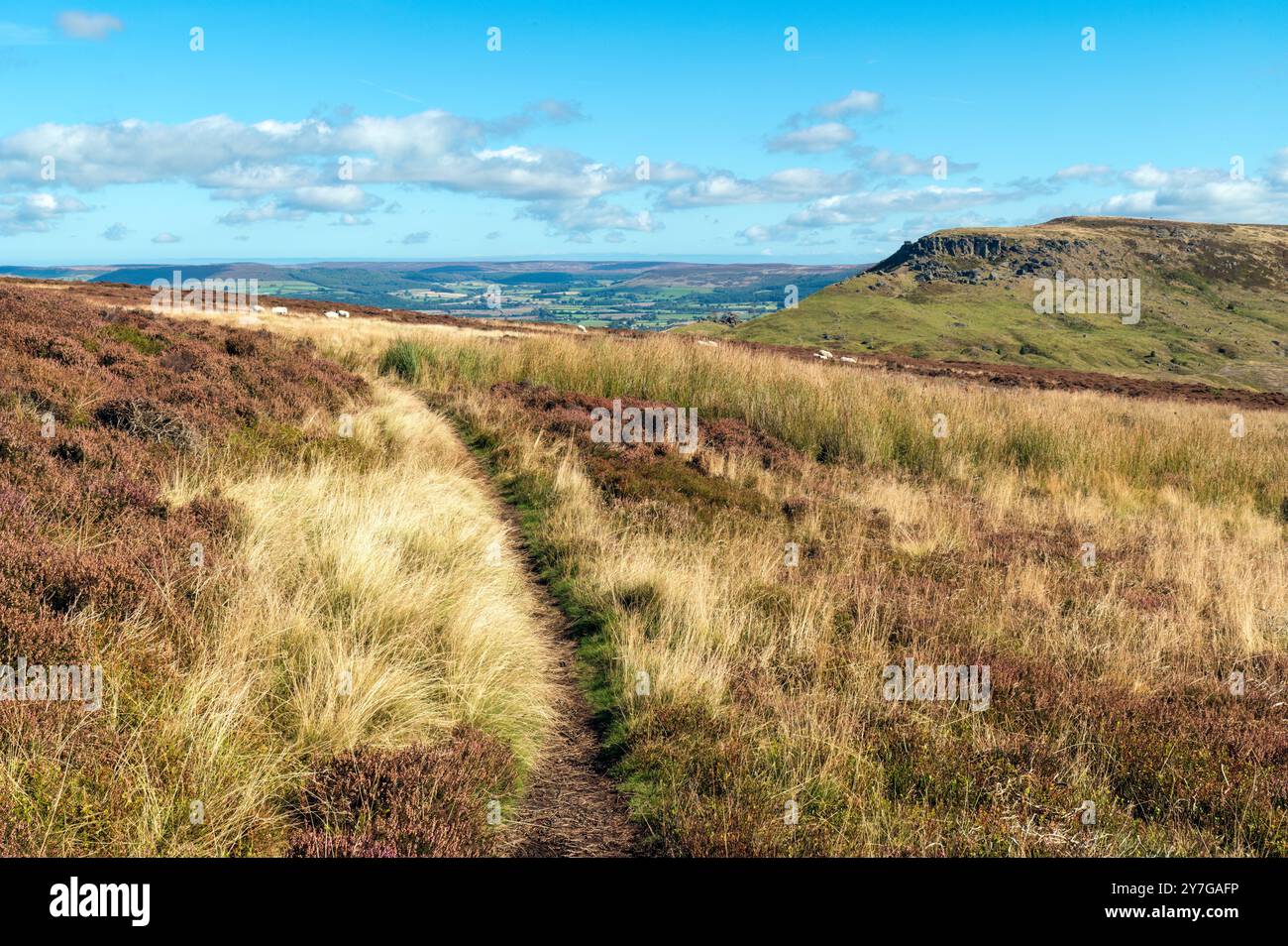 The Cleveland Way and Wain Stones from the slopes of Cold Moor ...