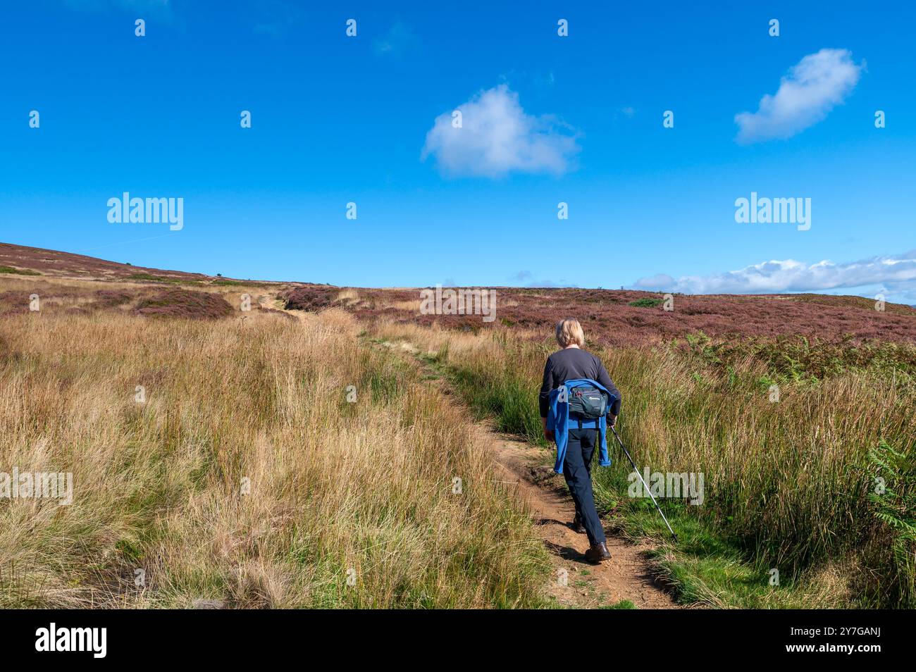Walking on Cold Moor above Bilsdale in The North York Moors of ...