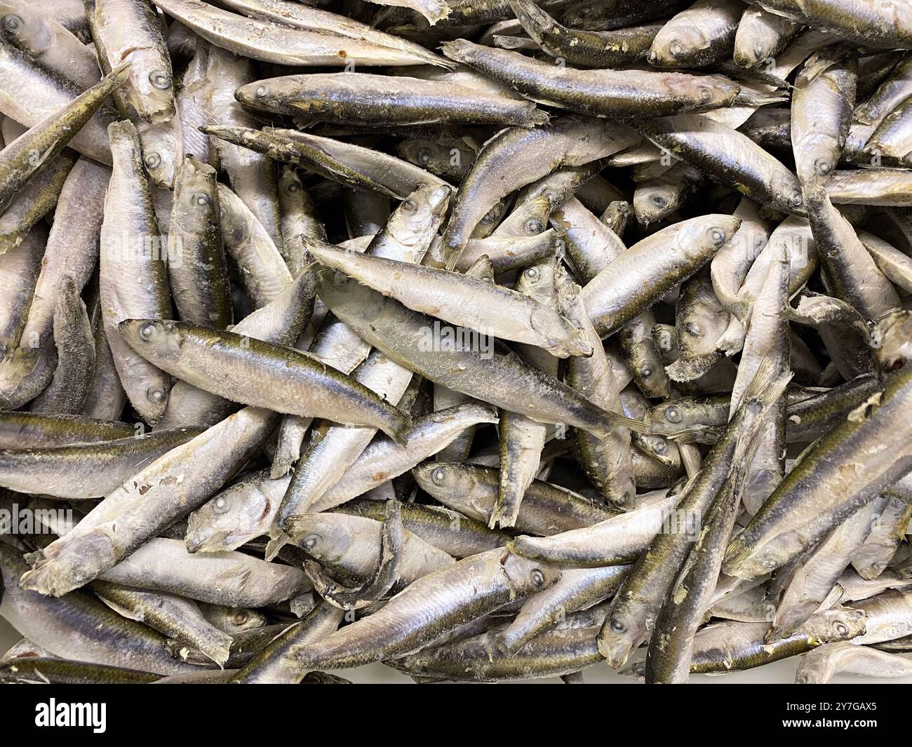 Freshly frozen fish hi-res stock photography and images - Alamy