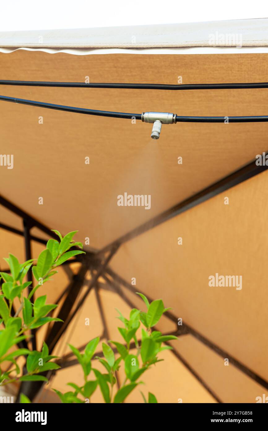 Water misting system is spraying a fine mist of water, creating a ...