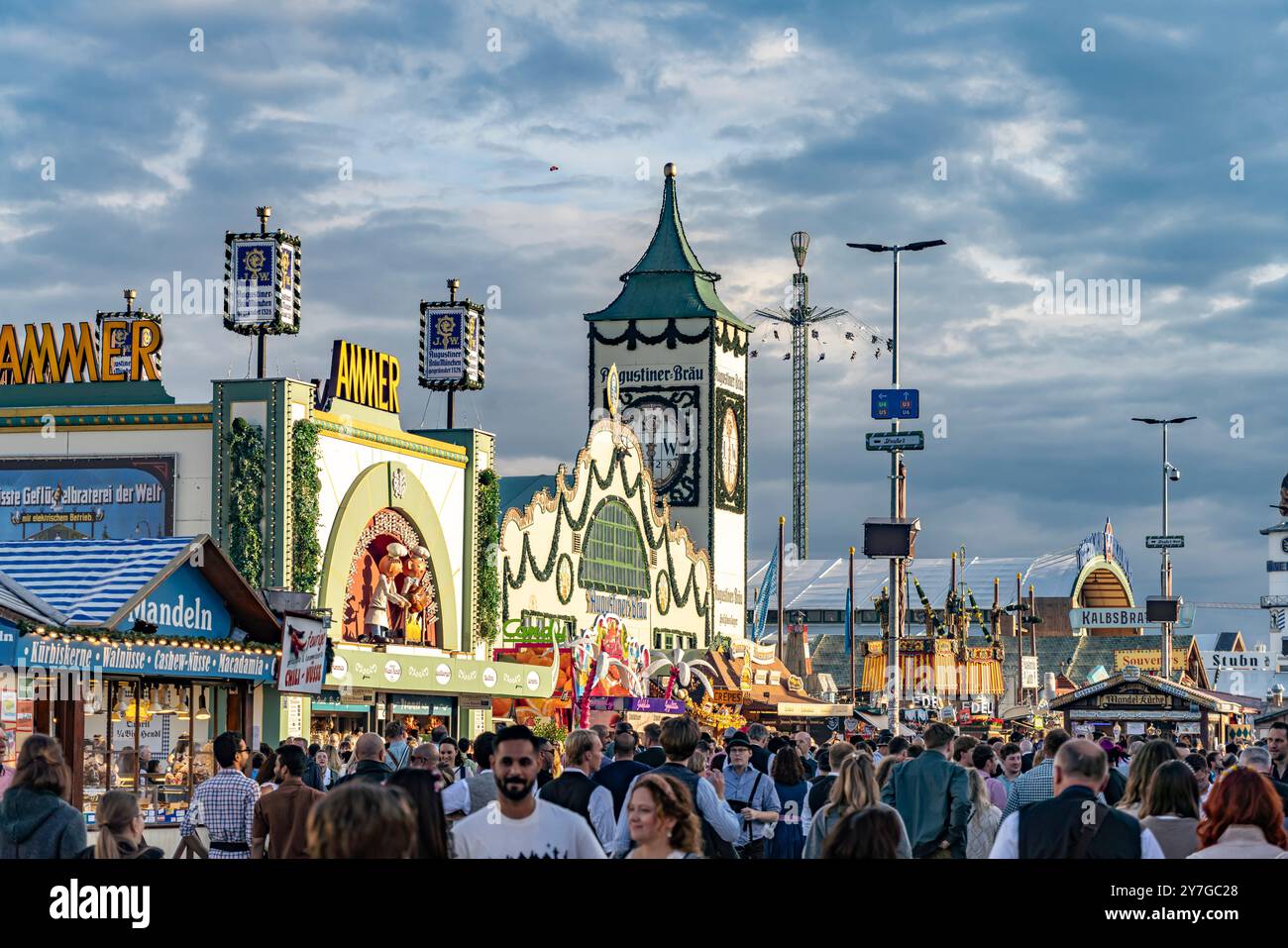 Ammer und Augustiner-Bräu Zelt beim Oktoberfest 2024 in München, Bayern ...