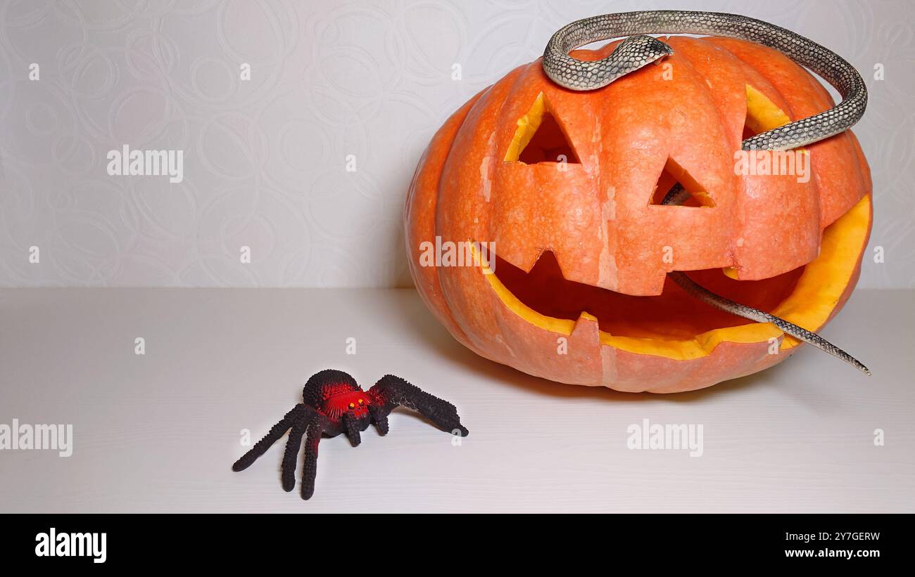 Halloween pumpkin with snake and black spider Stock Photo - Alamy