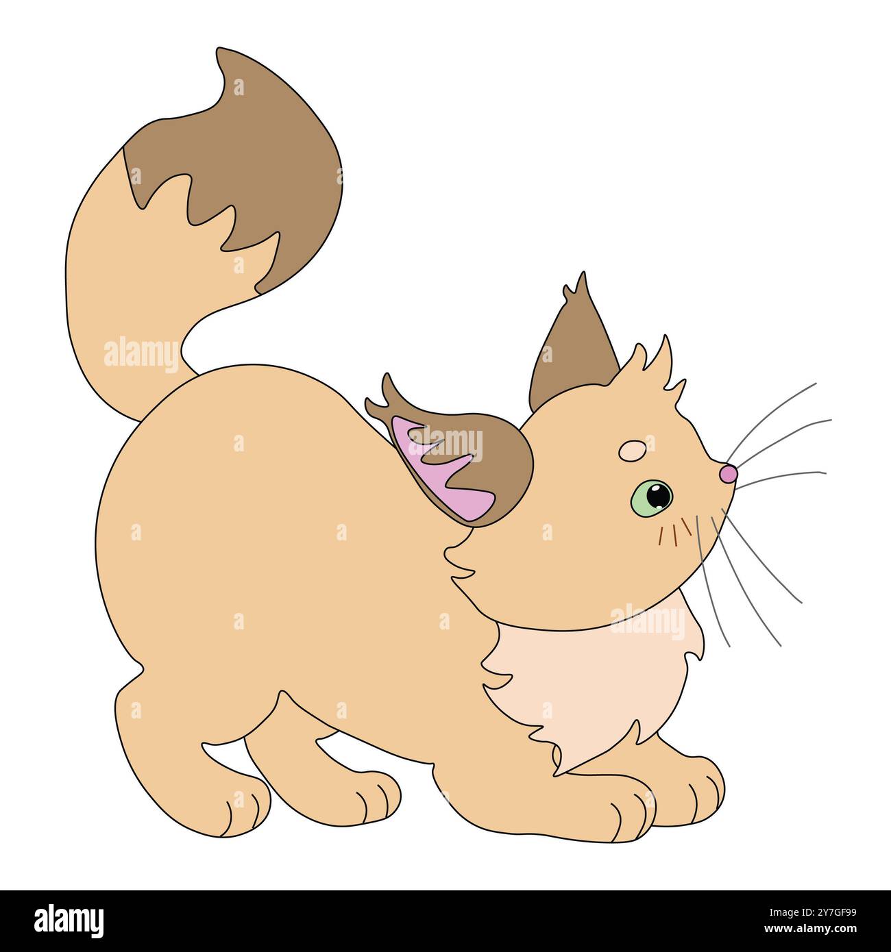 sandy beige cat with a fluffy tail wants to play, easy to edit, stock ...