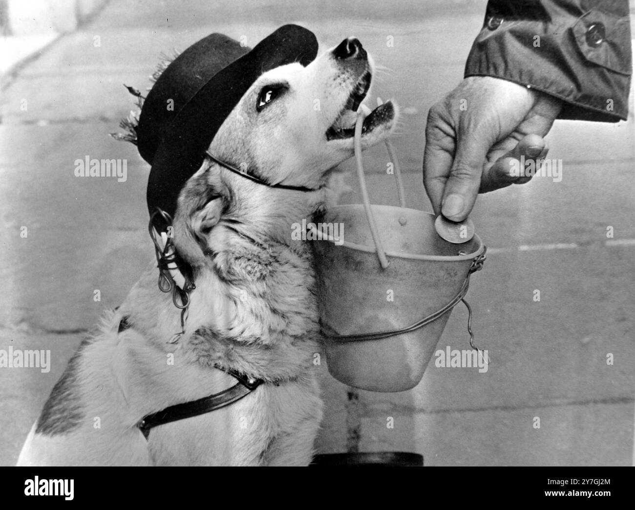 30 october 1964 Black and White Stock Photos & Images - Alamy