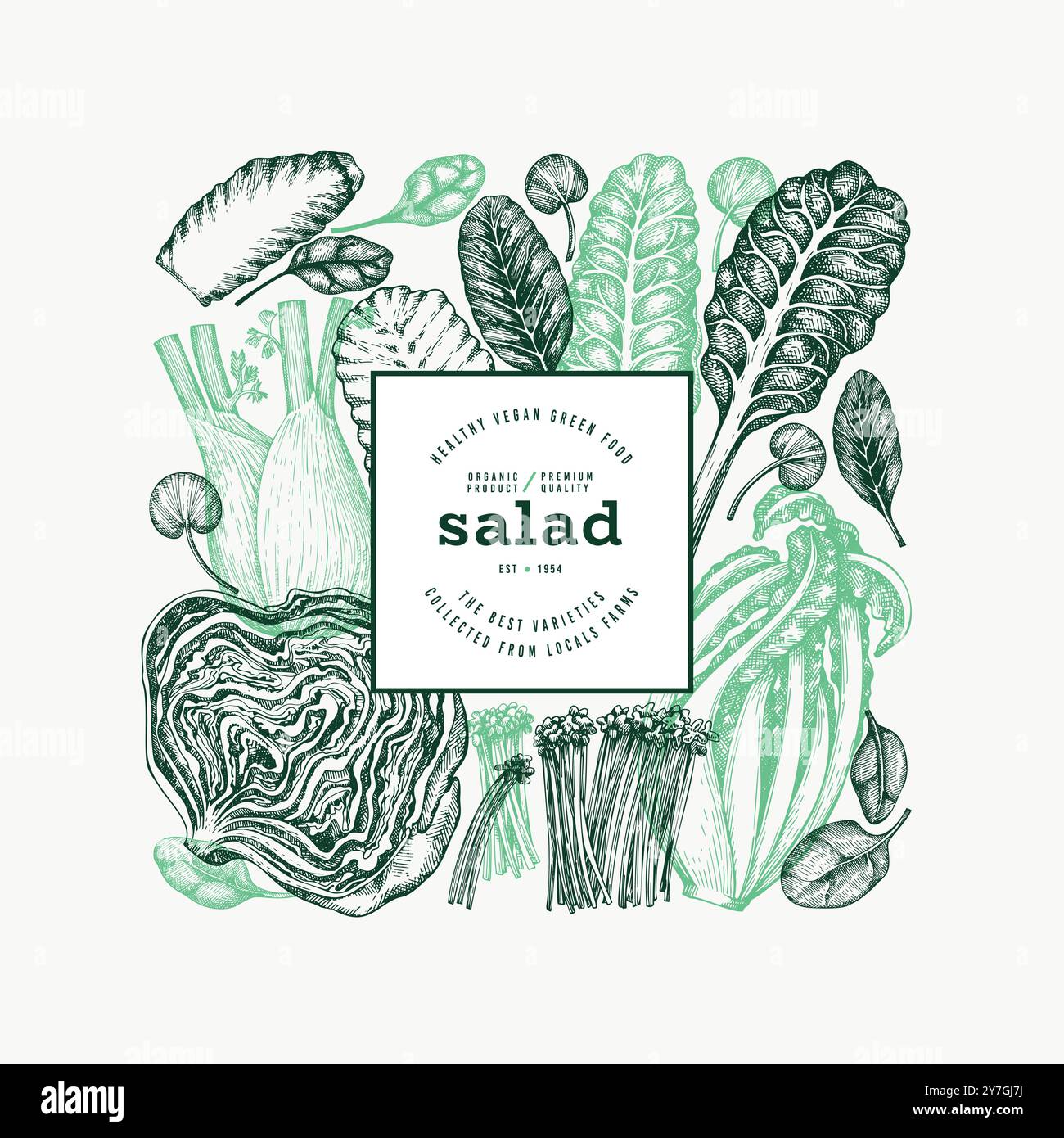 Green Vegetable Design Template. Vector Hand Drawn Healthy Leaf Salad ...