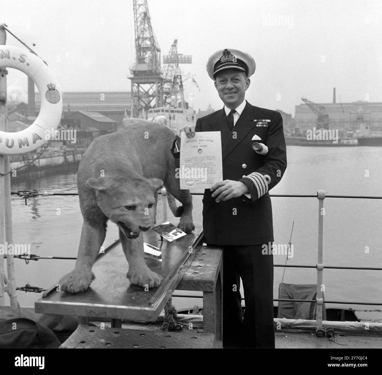 COMMANDER LACEY M N WITH STUFFED PUMA MASCOT OF HMS PUMA / ; 28 OCTOBER ...