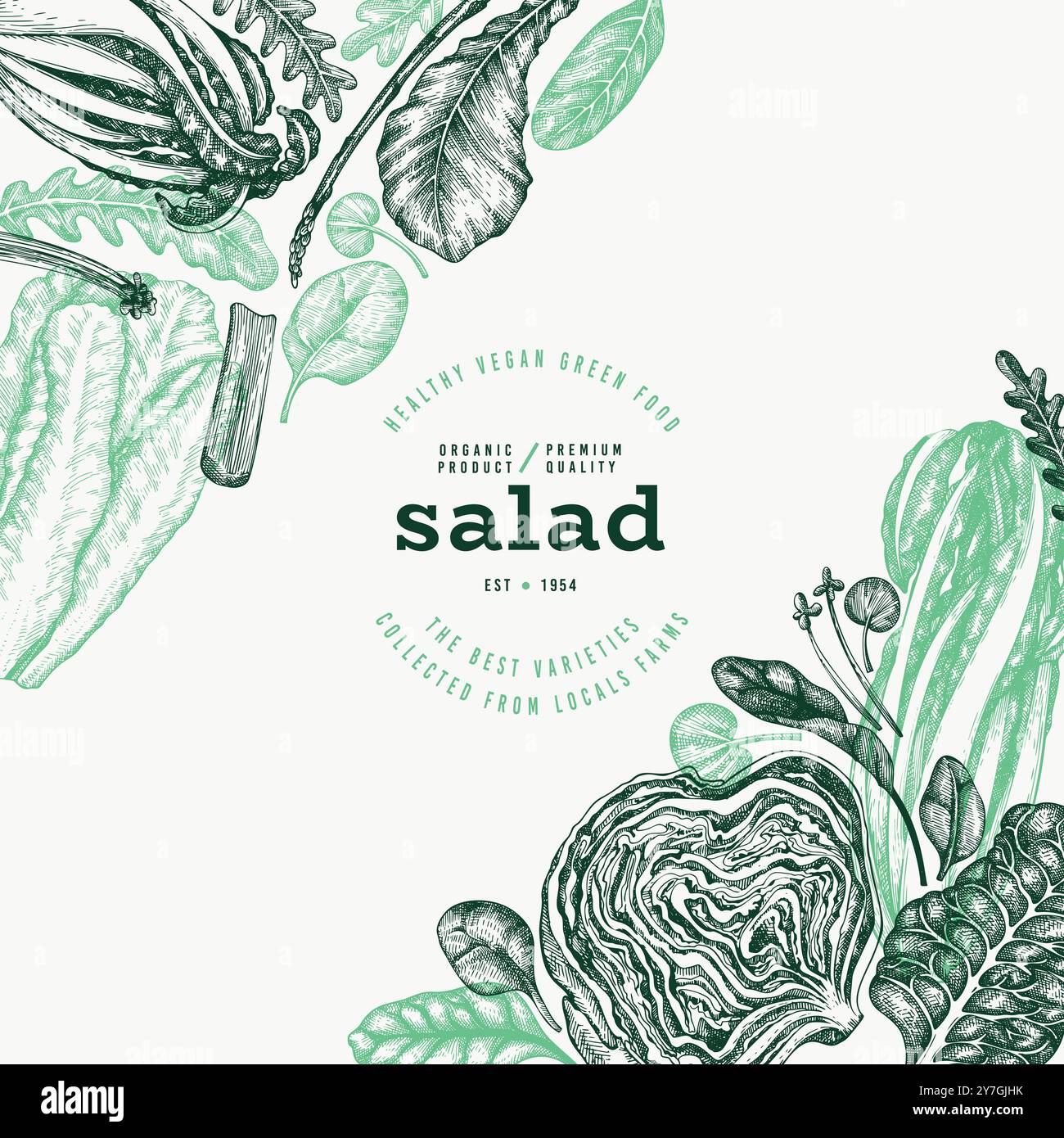 Green Vegetable Design Template. Vector Hand Drawn Healthy Leaf Salad ...