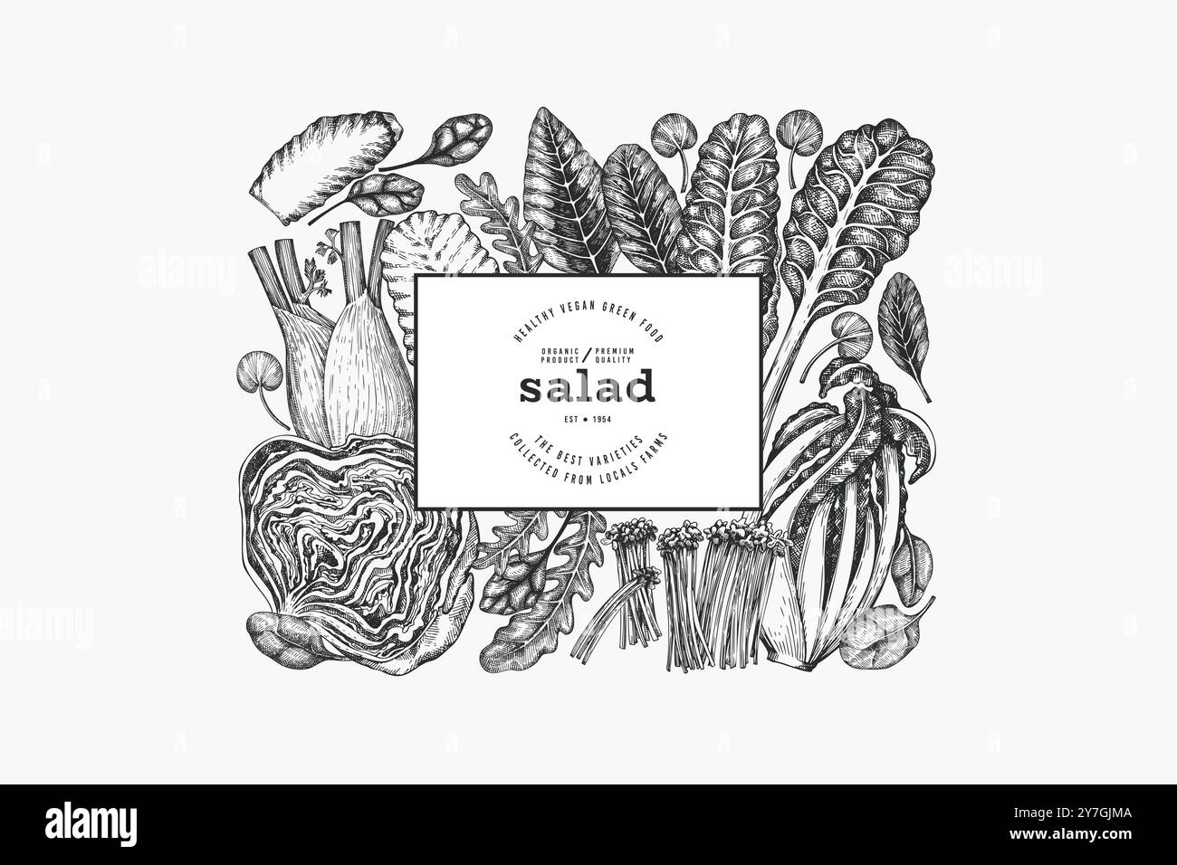 Green Vegetable Design Template. Vector Hand Drawn Healthy Leaf Salad ...