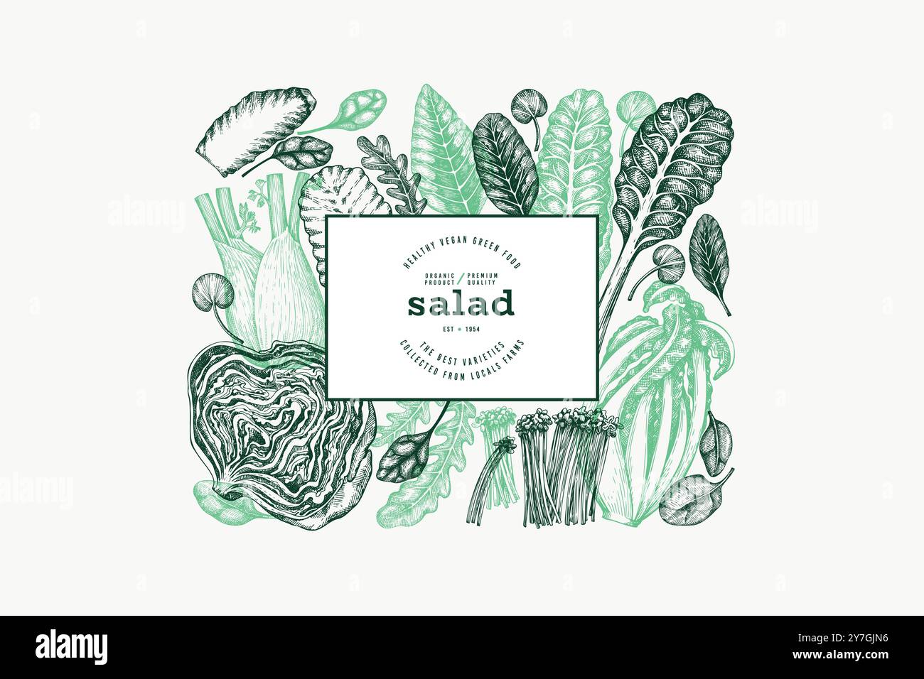 Green Vegetable Design Template. Vector Hand Drawn Healthy Leaf Salad ...