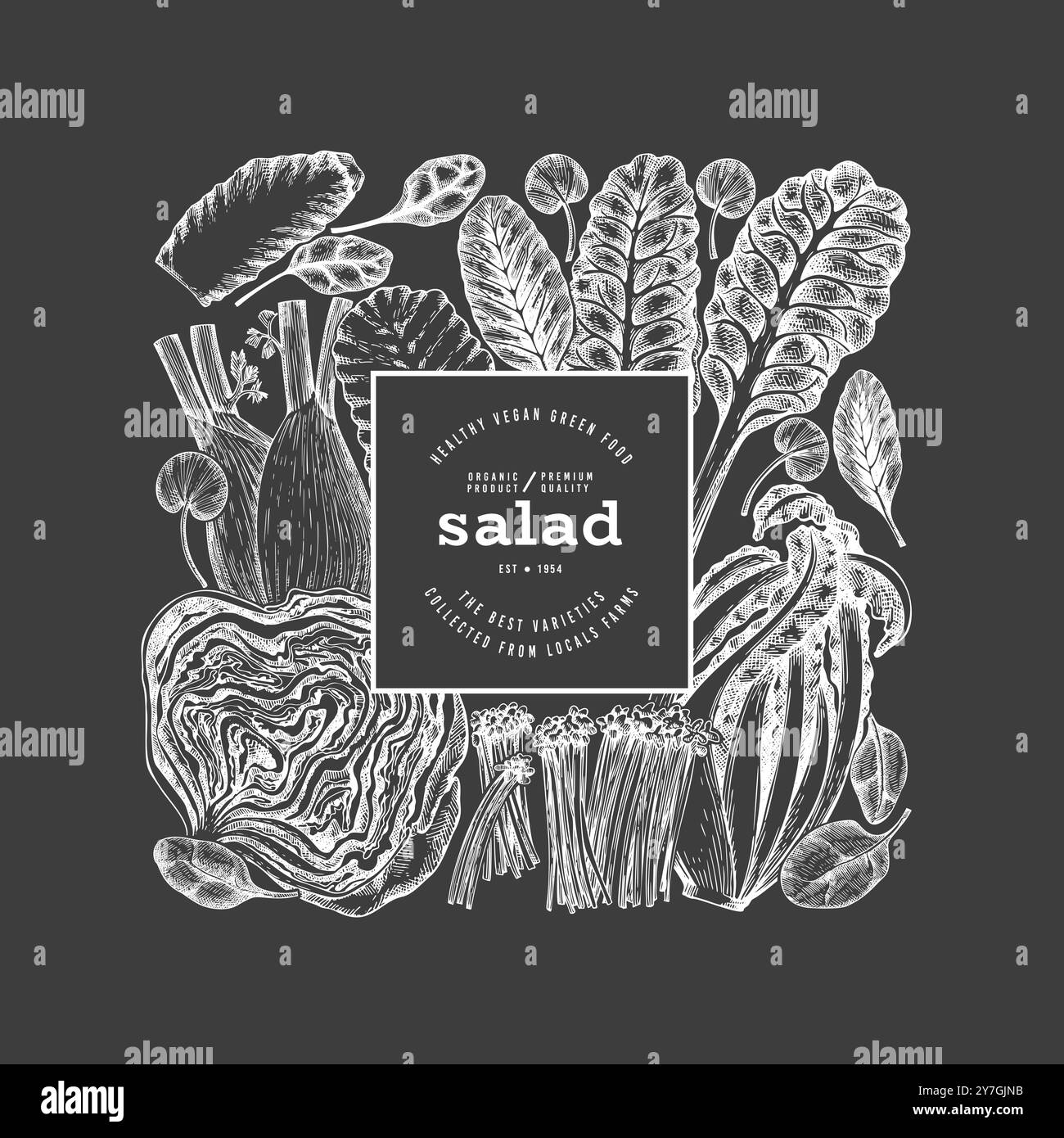 Green Vegetable Design Template. Vector Hand Drawn Healthy Leaf Salad ...