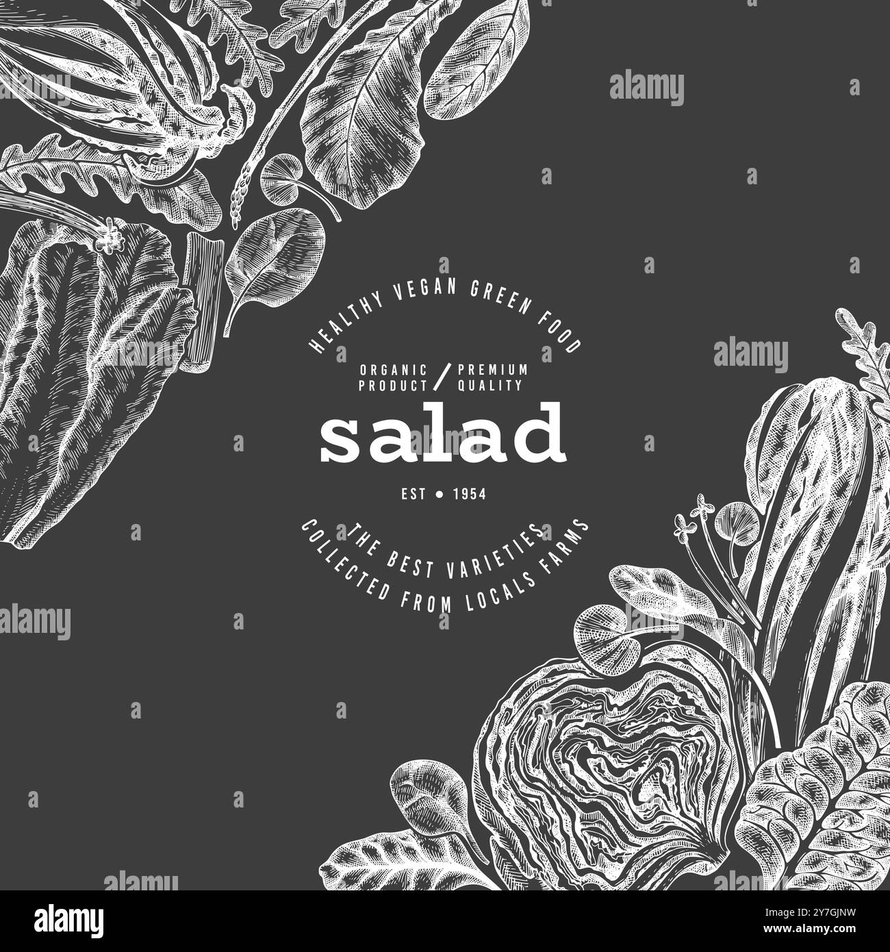 Green Vegetable Design Template. Vector Hand Drawn Healthy Leaf Salad ...