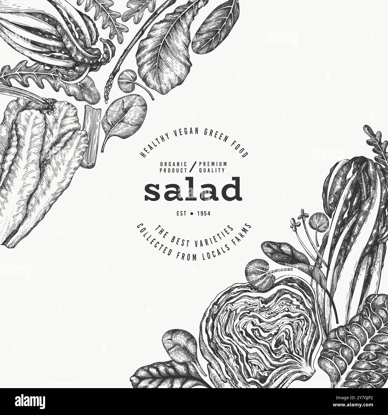 Green Vegetable Design Template. Vector Hand Drawn Healthy Leaf Salad ...