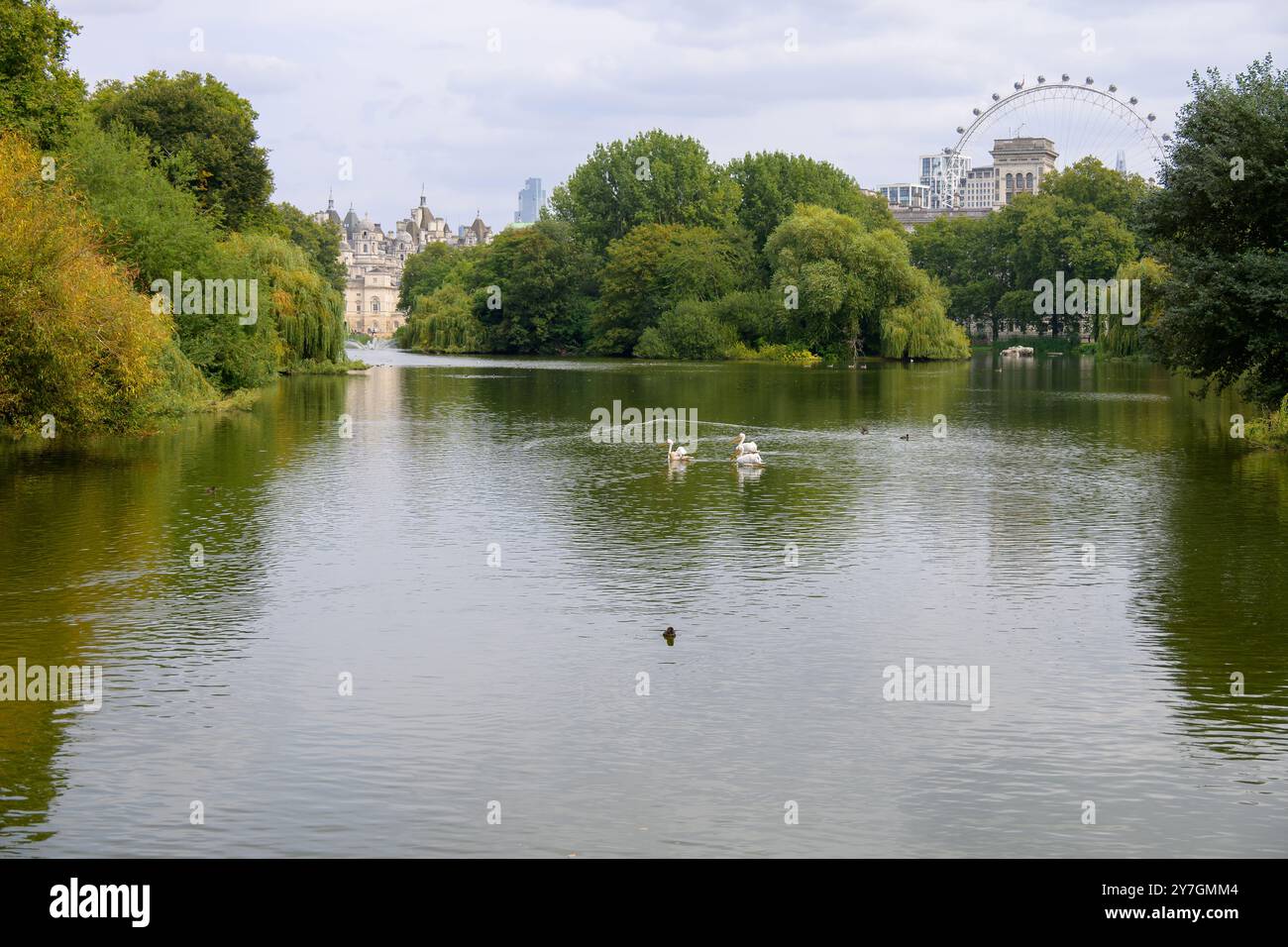 A view of the lake at St James Park with the back drop of London's ...